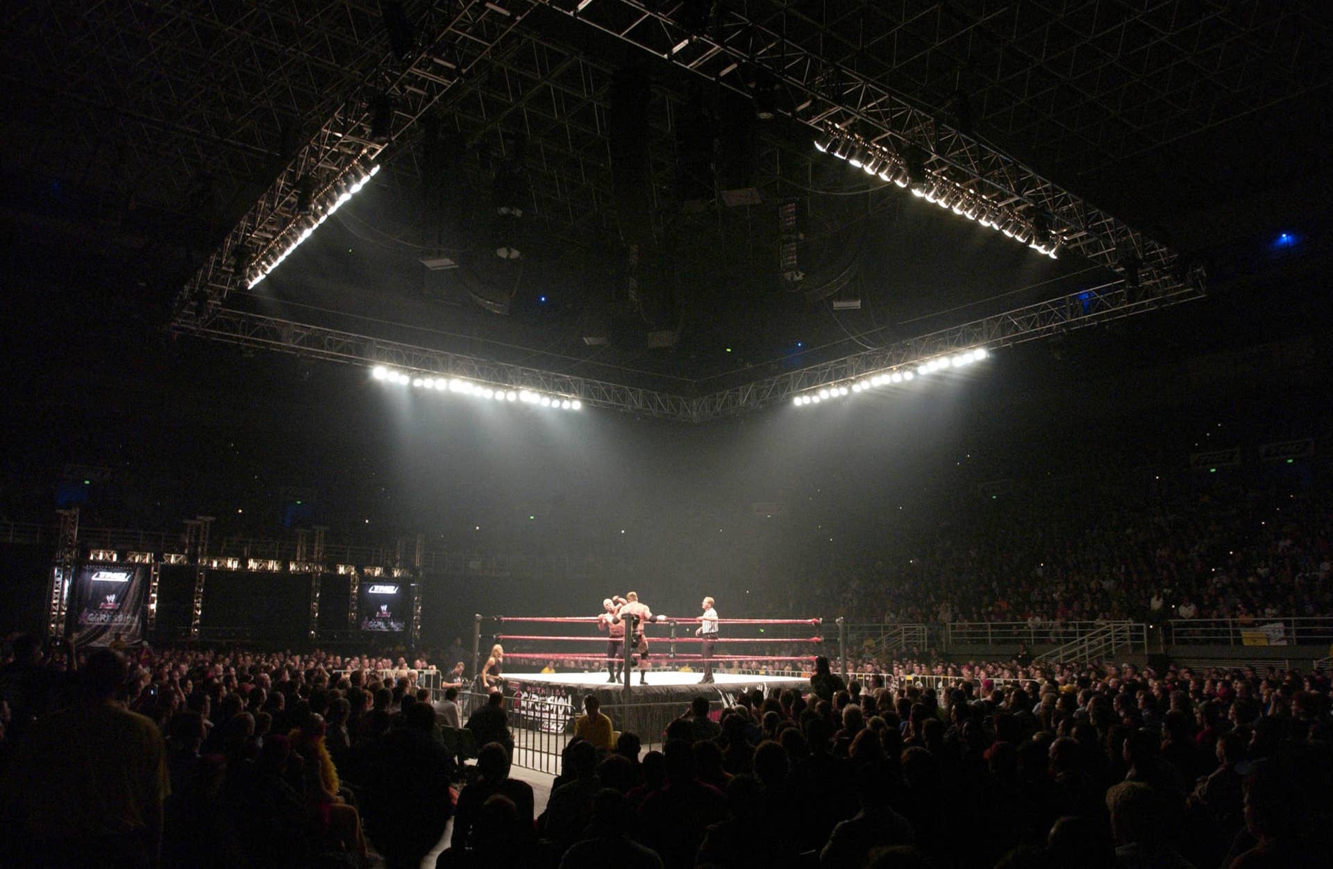 Professional Wrestling Star Is Dead 'Suddenly' At 39 - The Spun