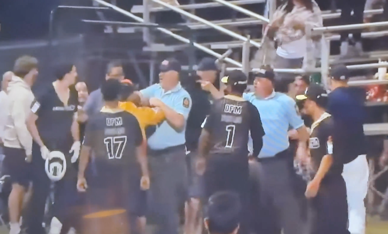Baseball Players, Fans Throw Punches In 'Wild' Youth League Brawl - The ...