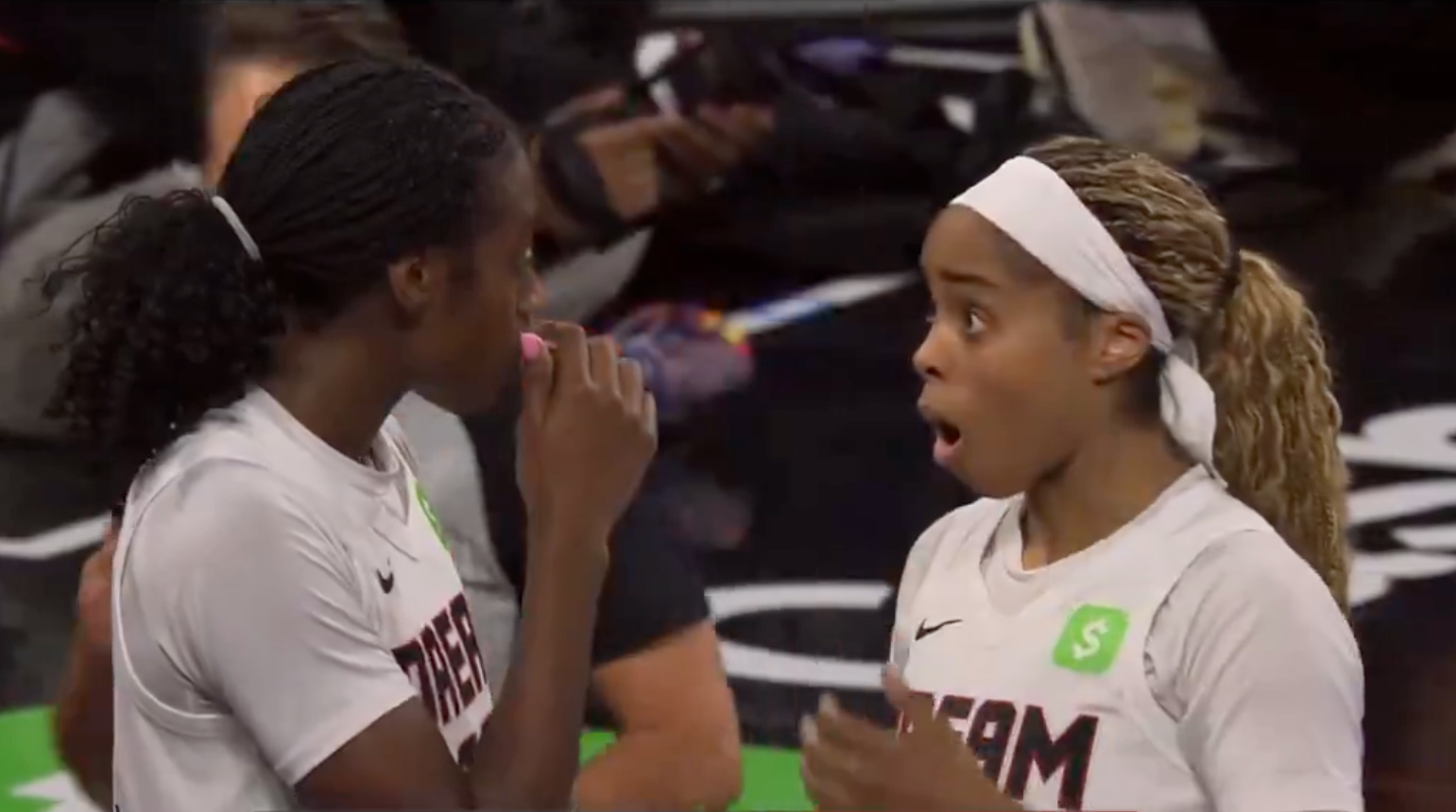 Fans In Disbelief After Shocking Object Delays WNBA Game - The Spun
