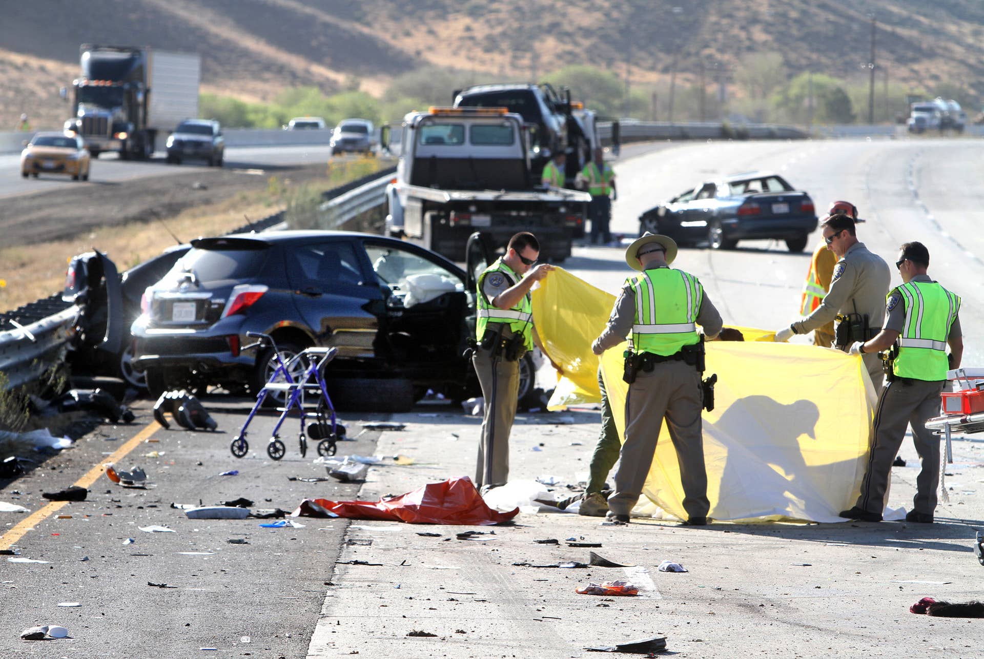 Dog Killed In 'Awful' Hit-And-Run Accident On Sunday - The Spun