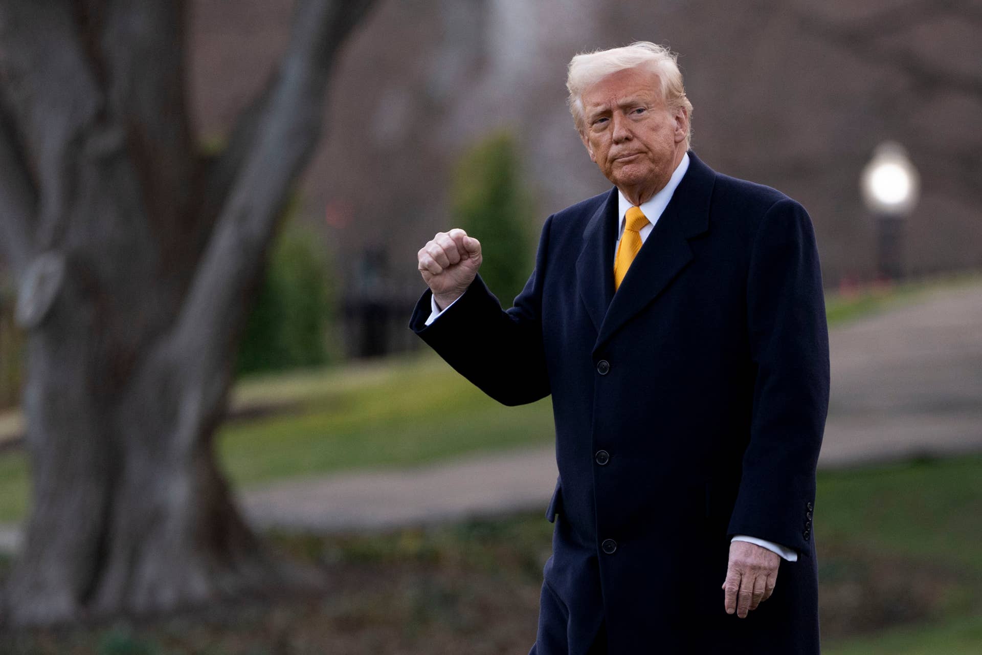 UFC Champion Rejects White House Fight, 'Not Interested' - The Spun