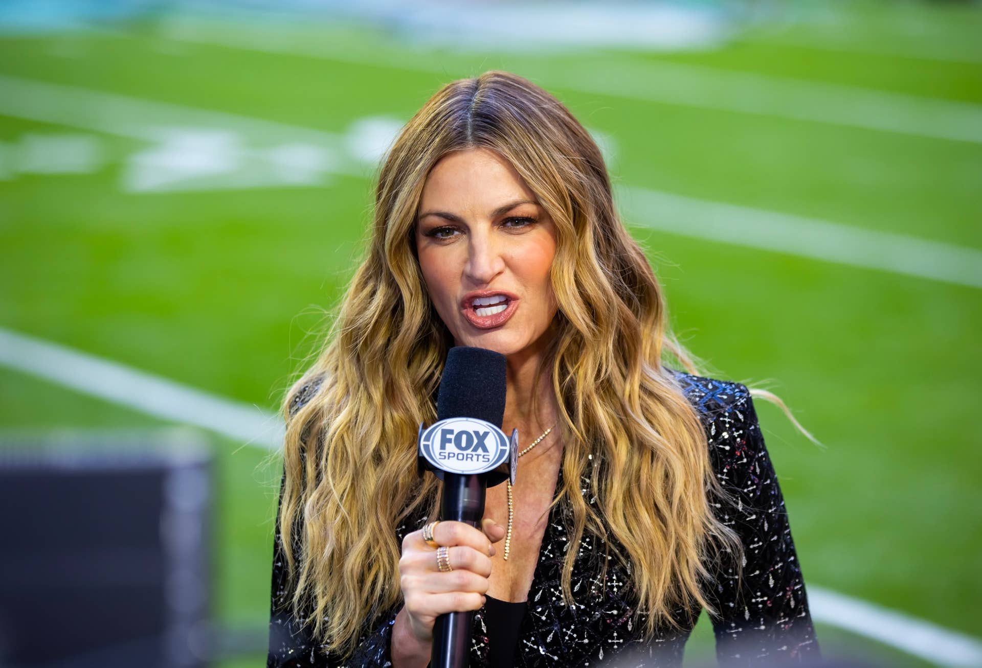 Erin Andrews' Salary Is Higher Than Several NFL Players - The Spun