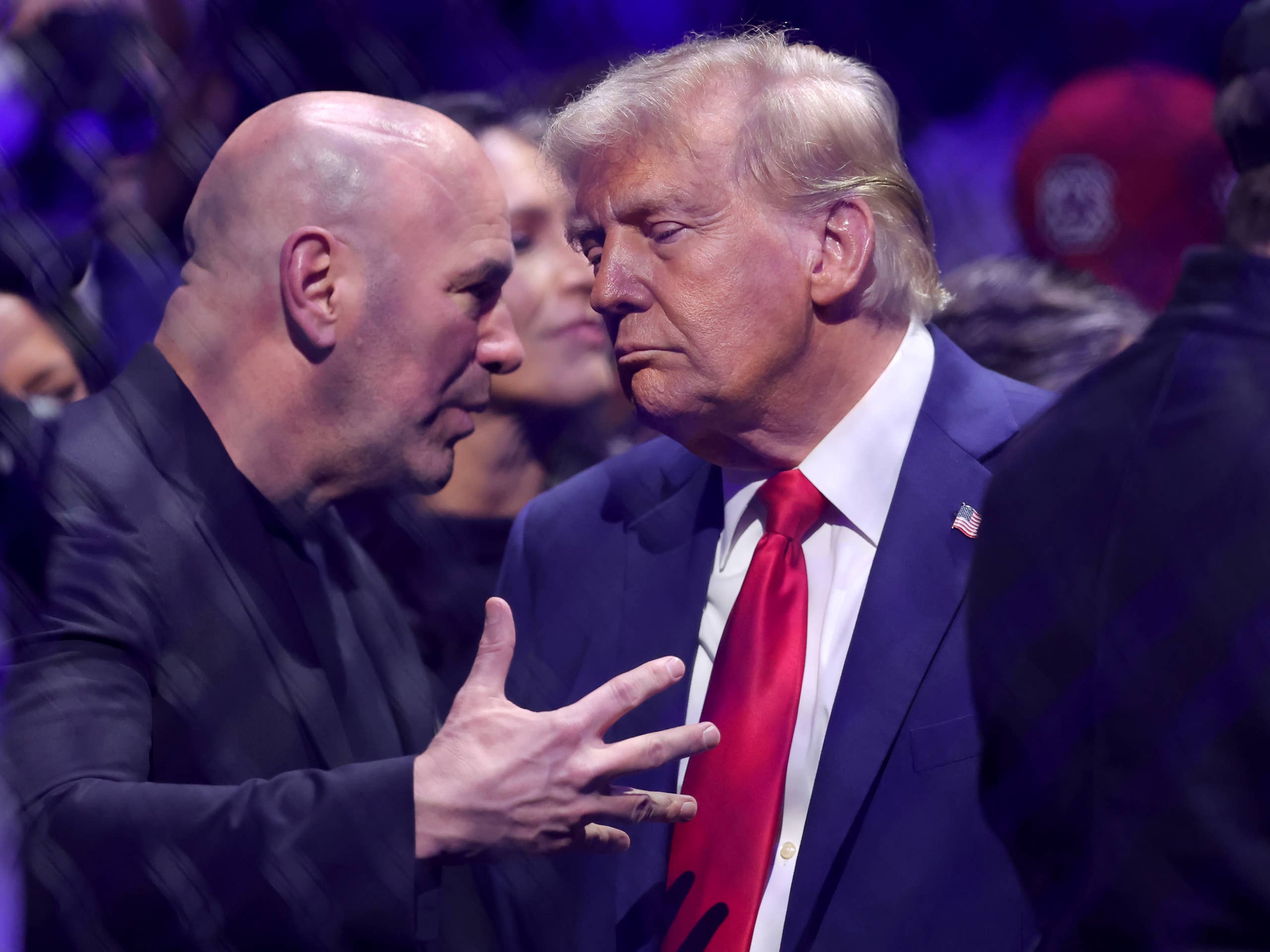 The White House Has A 'Bugs Problem' Before UFC 250 Event - The Spun