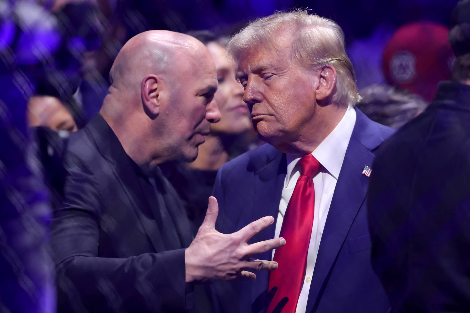 The White House Has A 'Bugs Problem' Before UFC 250 Event - The Spun