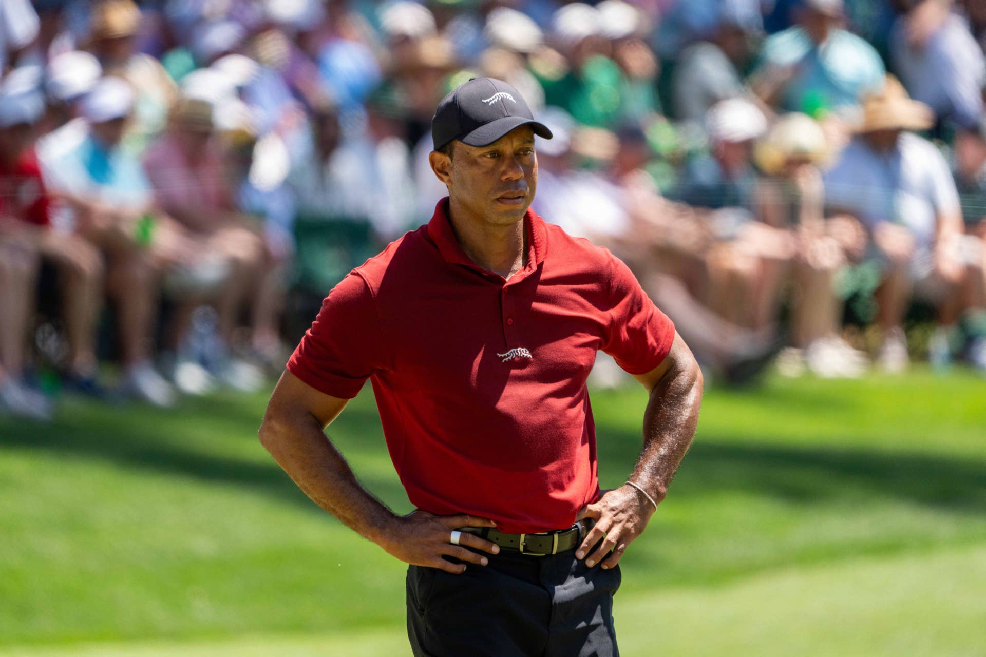 Photo From Masters Champions Dinner Has Tiger Woods Fans Heartbroken ...