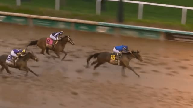 Sovereignty Edges Journalism In Kentucky Derby Rematch, Wins Belmont Stakes - The Spun