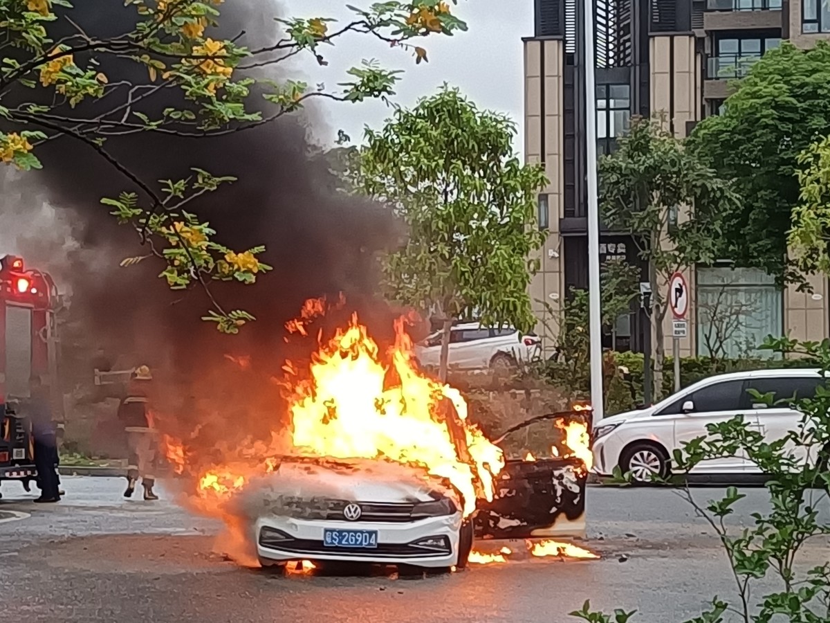 5 People Killed In 'Horrible' Sunday Morning Car Accident - The Spun