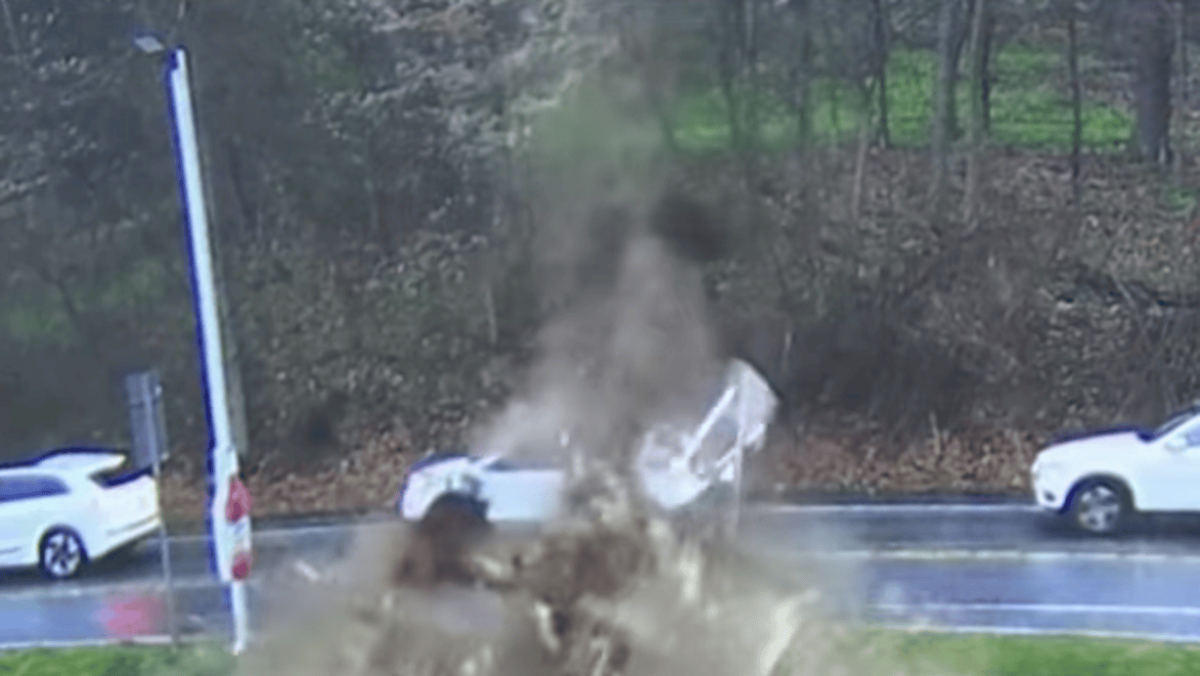 Woman Survives Tree Falling On Car In Shocking Video - The Spun