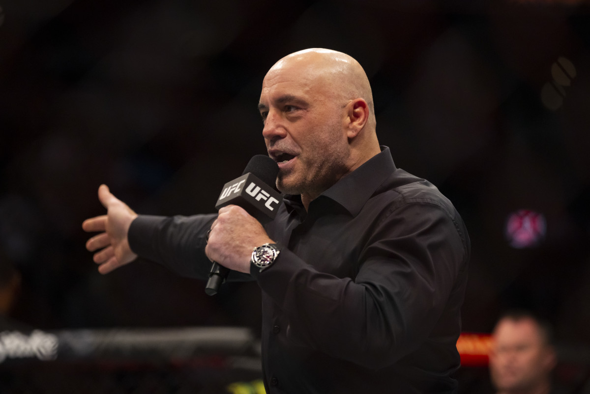 Joe Rogan's Daughter's Birthday Cake Is Going Viral Tuesday - The Spun