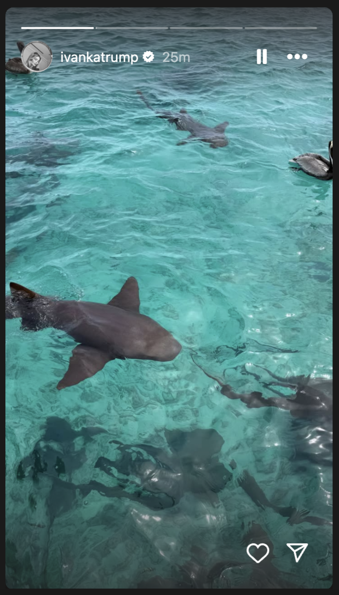 Ivanka Trump Grabs Attention With Boat Photo On Sunday - The Spun