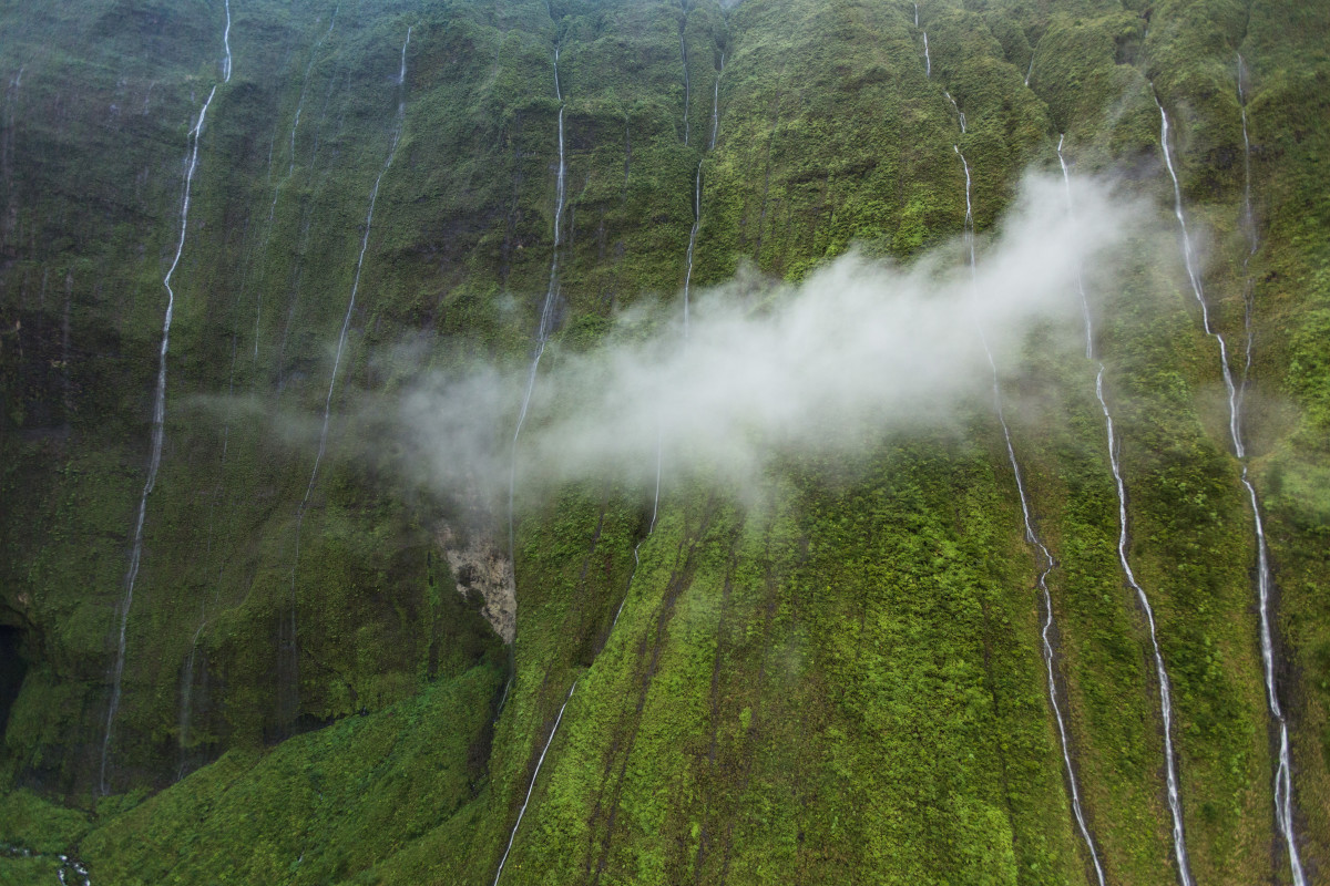 Chef, 26, Killed In 'Freak Accident' While Hiking In Hawaii - The Spun