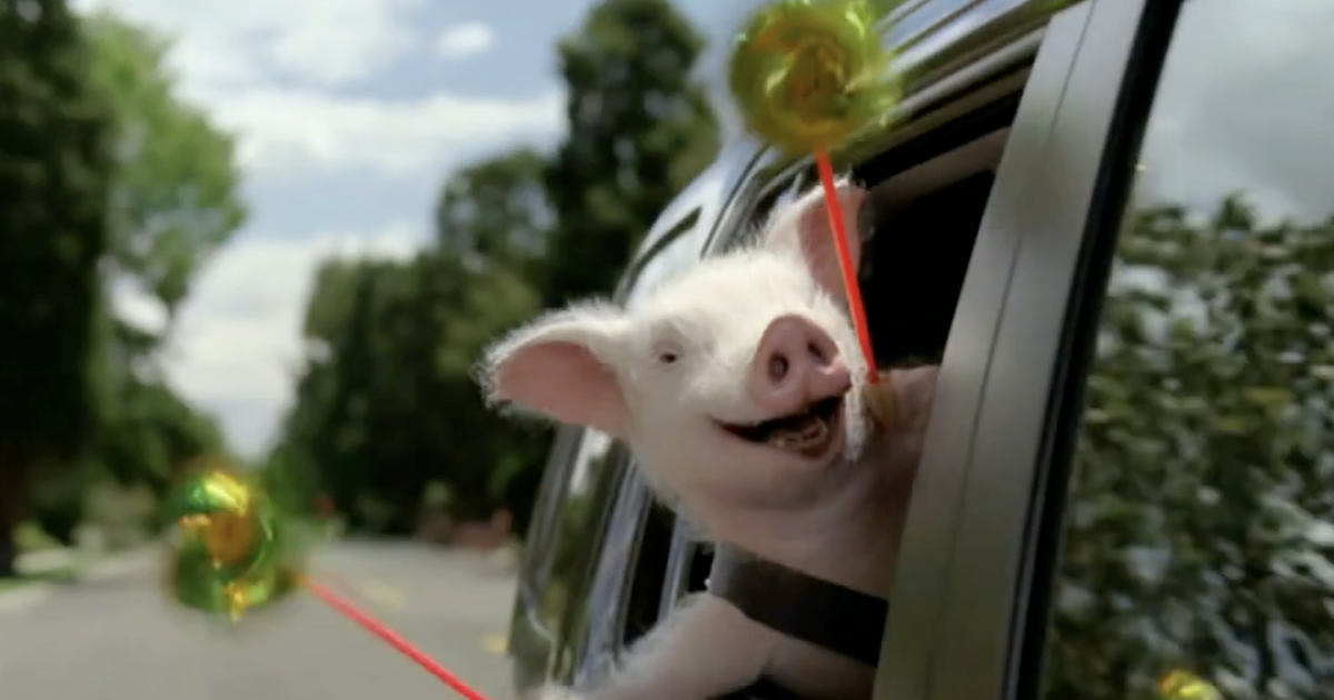 The 4 'Most Annoying' Commercials Of This Year's Final Four - The Spun