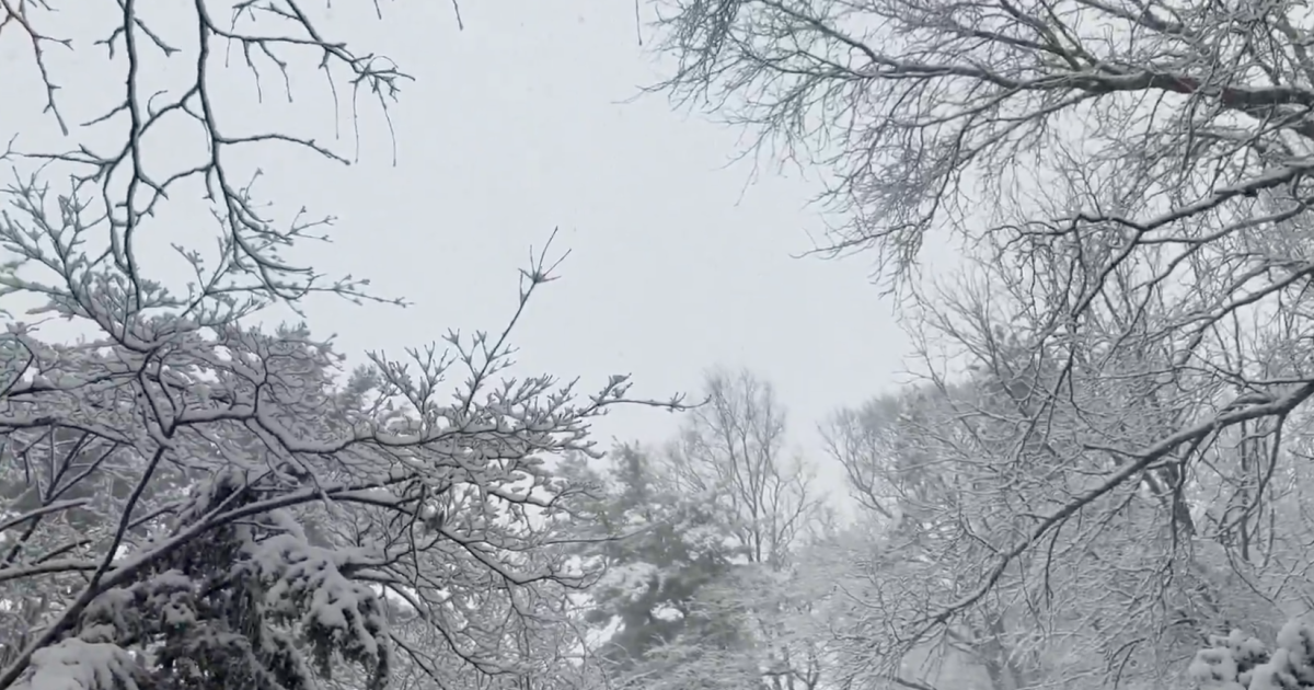 'Incredible' Video Of Rare Thundersnow Is Going Viral - The Spun