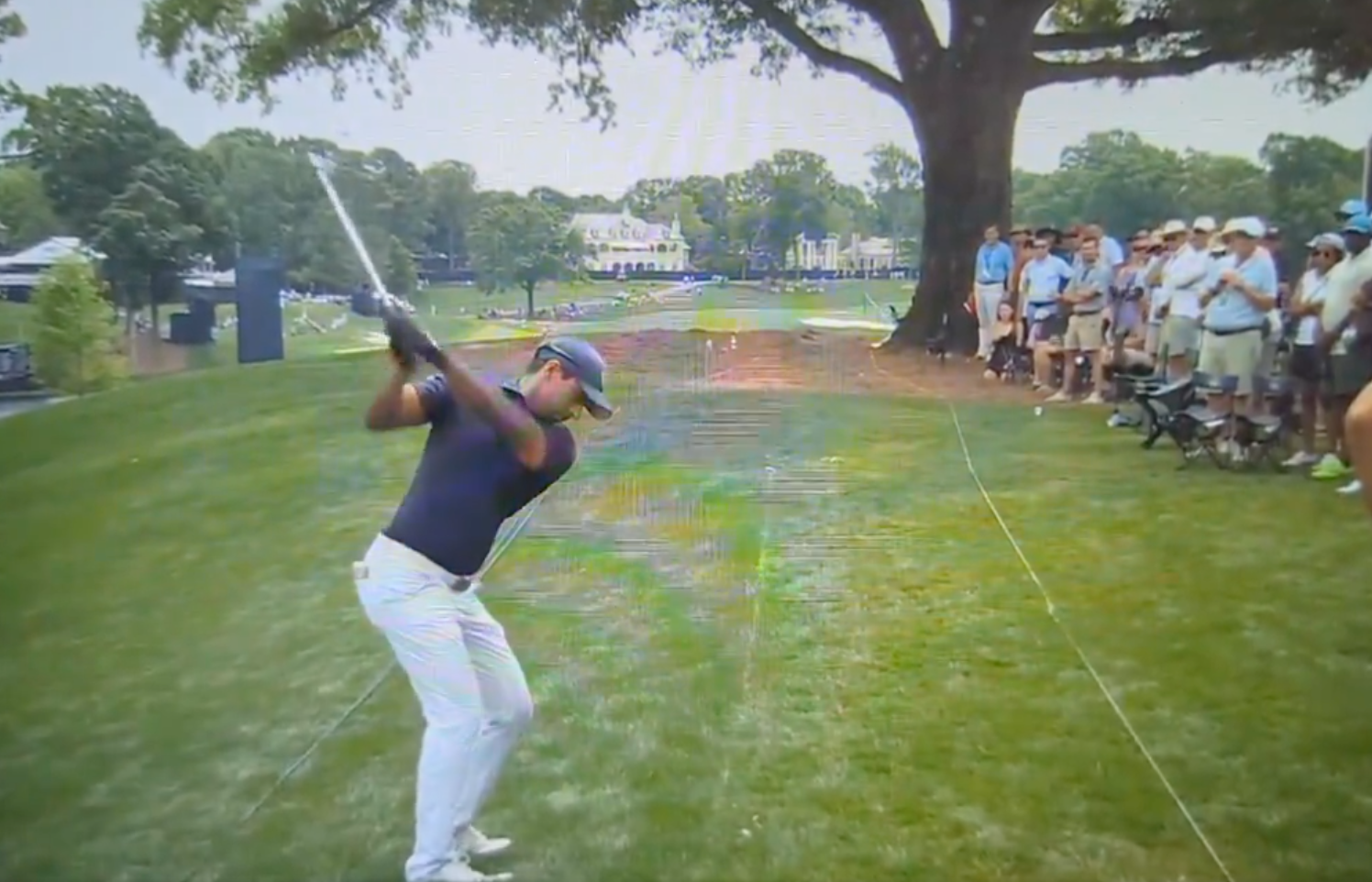 Golfer Nearly Knocked Out Fan With 'Awful' Shot At PGA Championship ...
