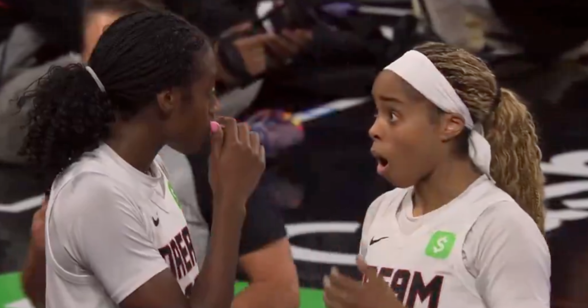 Fans In Disbelief After Shocking Object Delays WNBA Game - The Spun