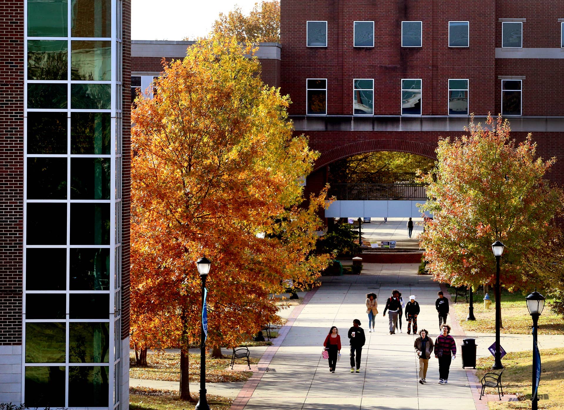 Major College Dean Fired 'Immediately' After Charlie Kirk's Death - The ...