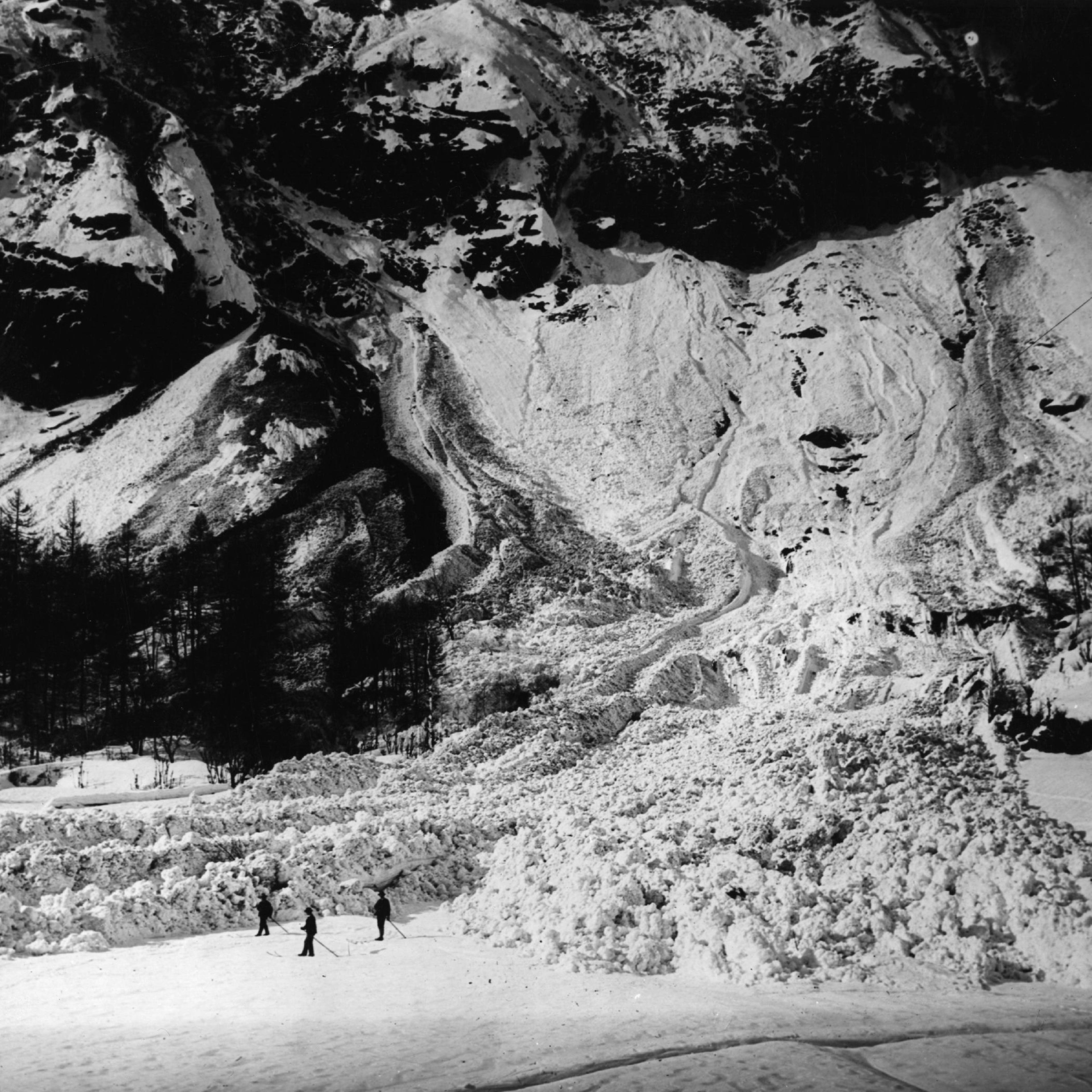 Panthers Announce Decision On Bryce Young Following Playoff Loss - The Spun