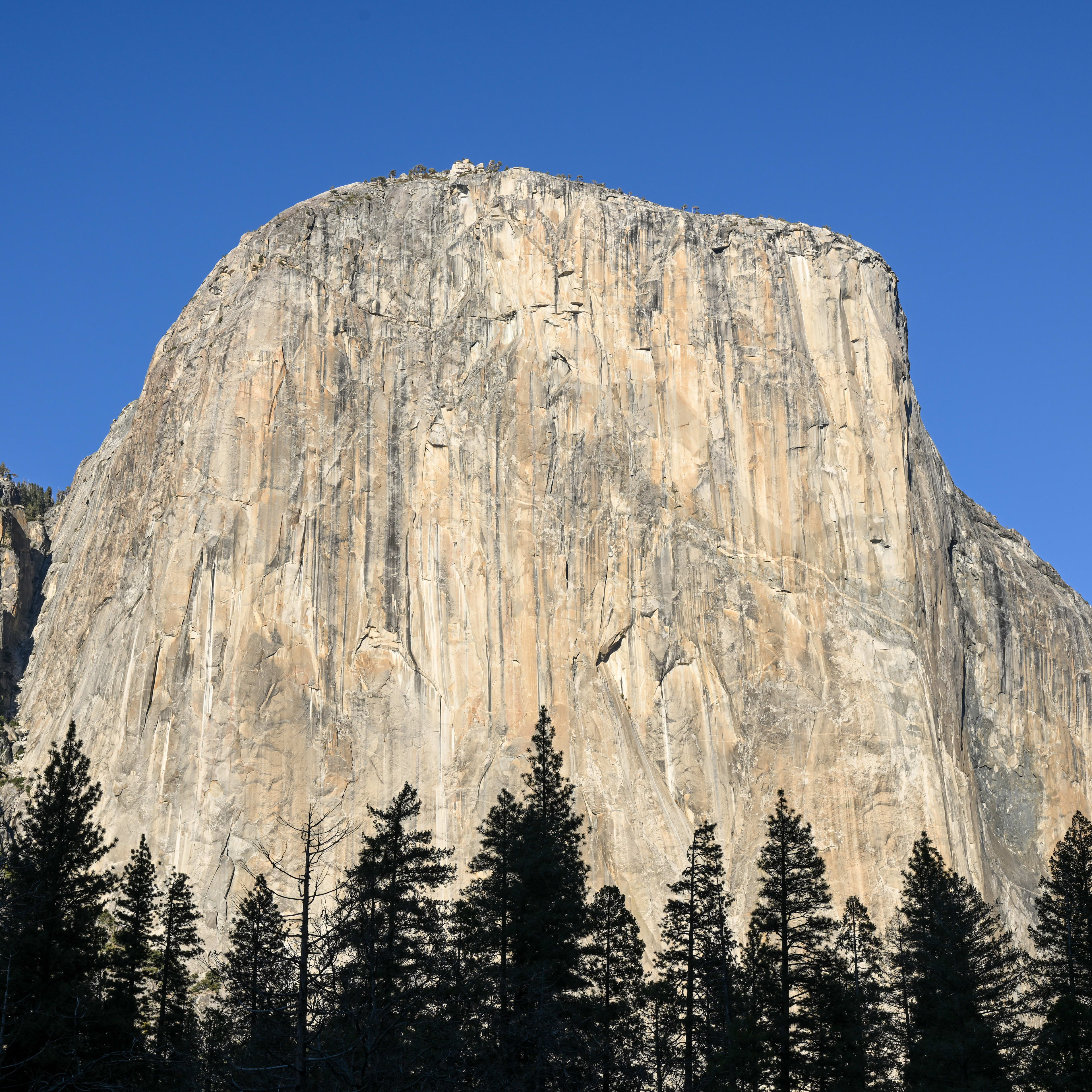 Lane Kiffin's Stunning Daughter, Presley, Goes Viral For Volleyball ...