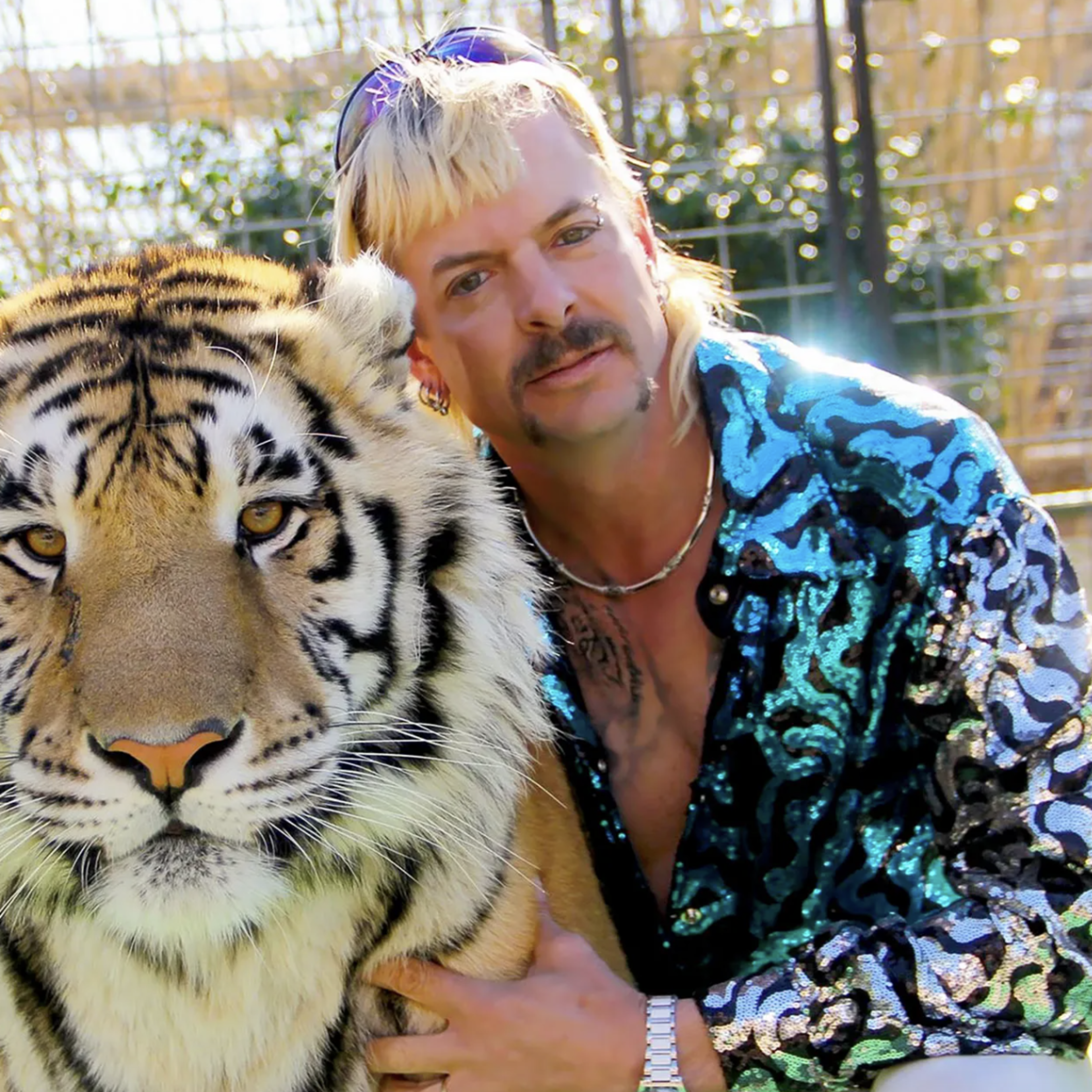 WNBA Star Sophie Cunningham Turns Heads In Jaw-Dropping Black Bikini - The Spun