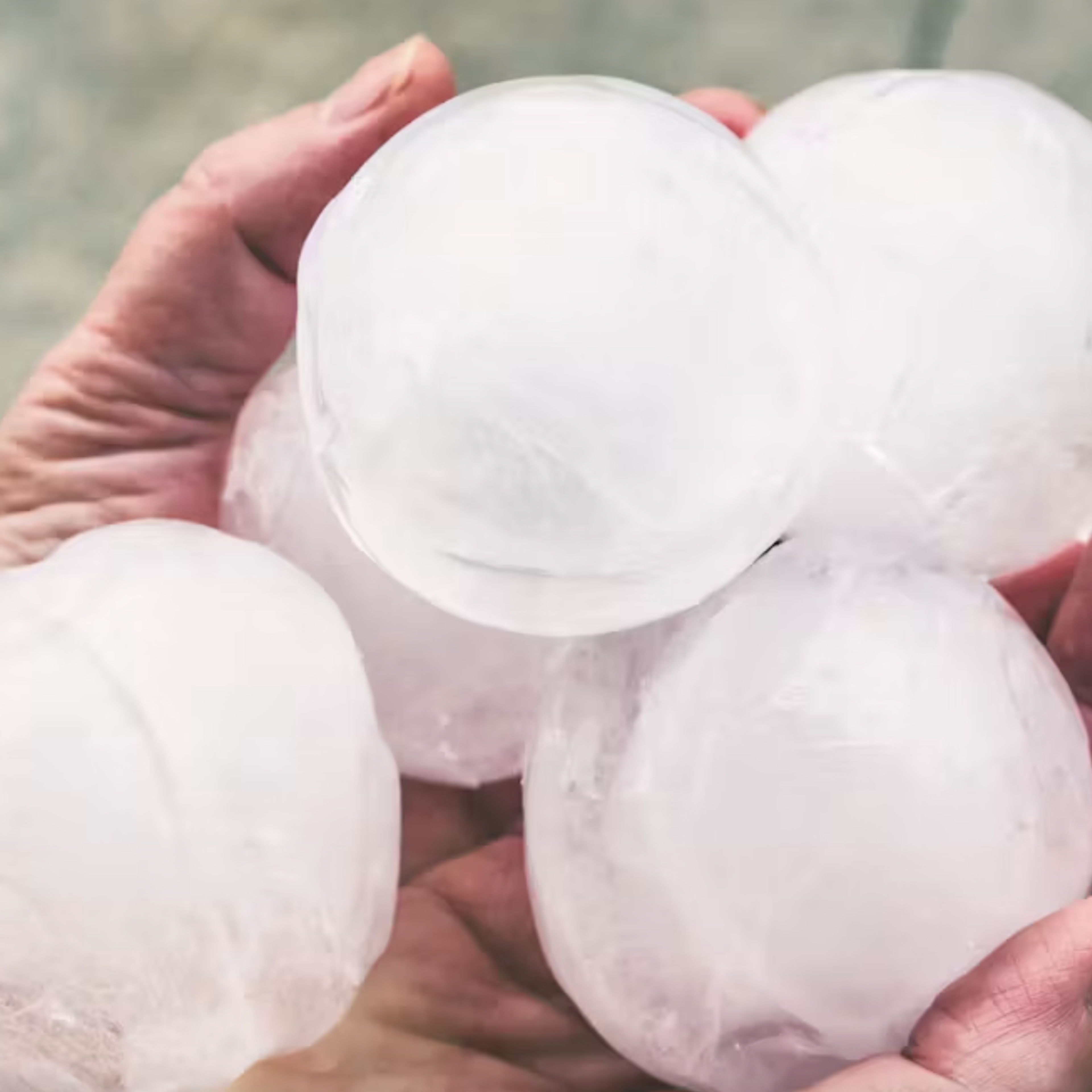 Tom Brady Had Winning Record vs. Every NFL Team Except One - The Spun