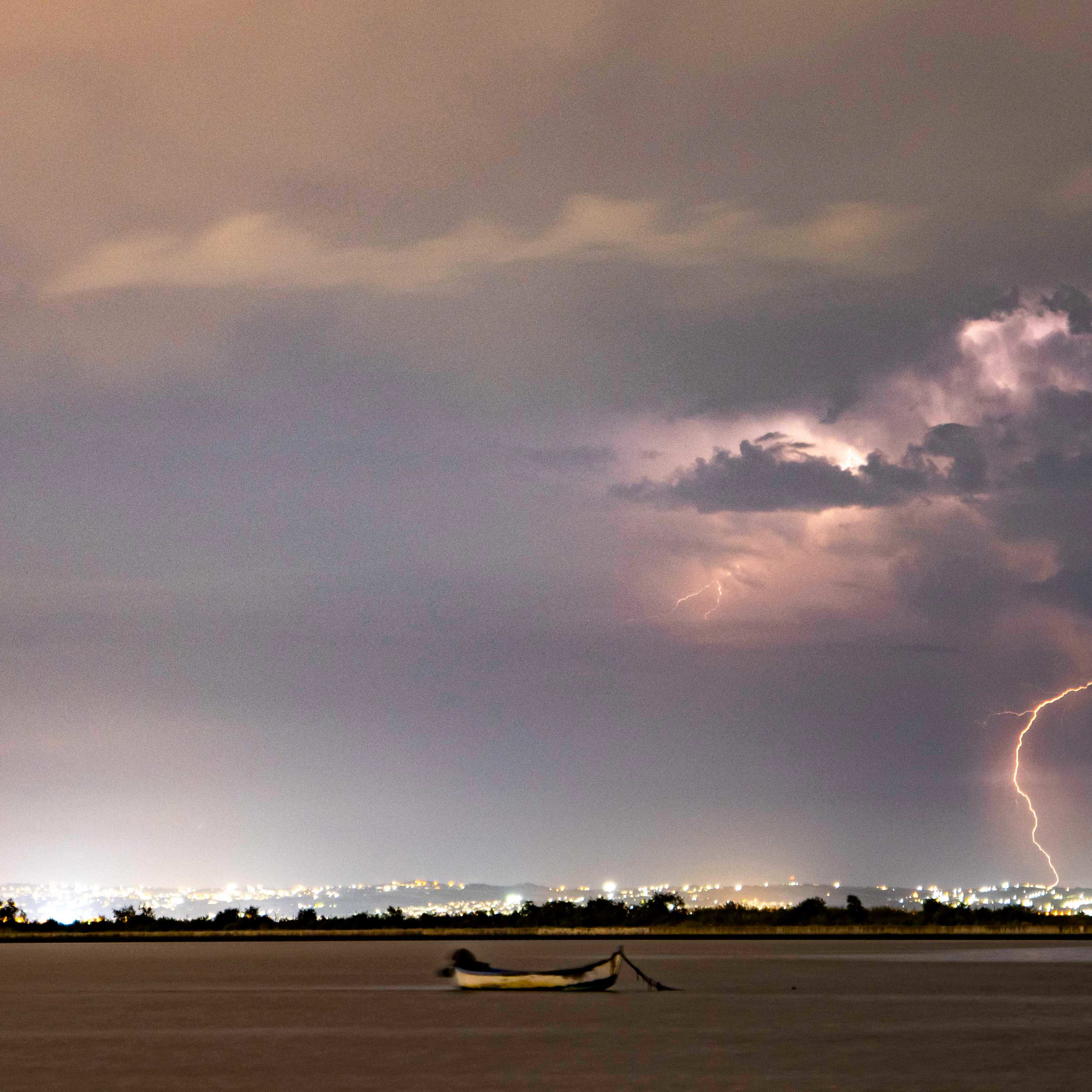 WWE Legend Triple H Makes It Clear Where He Stands Politically - The Spun