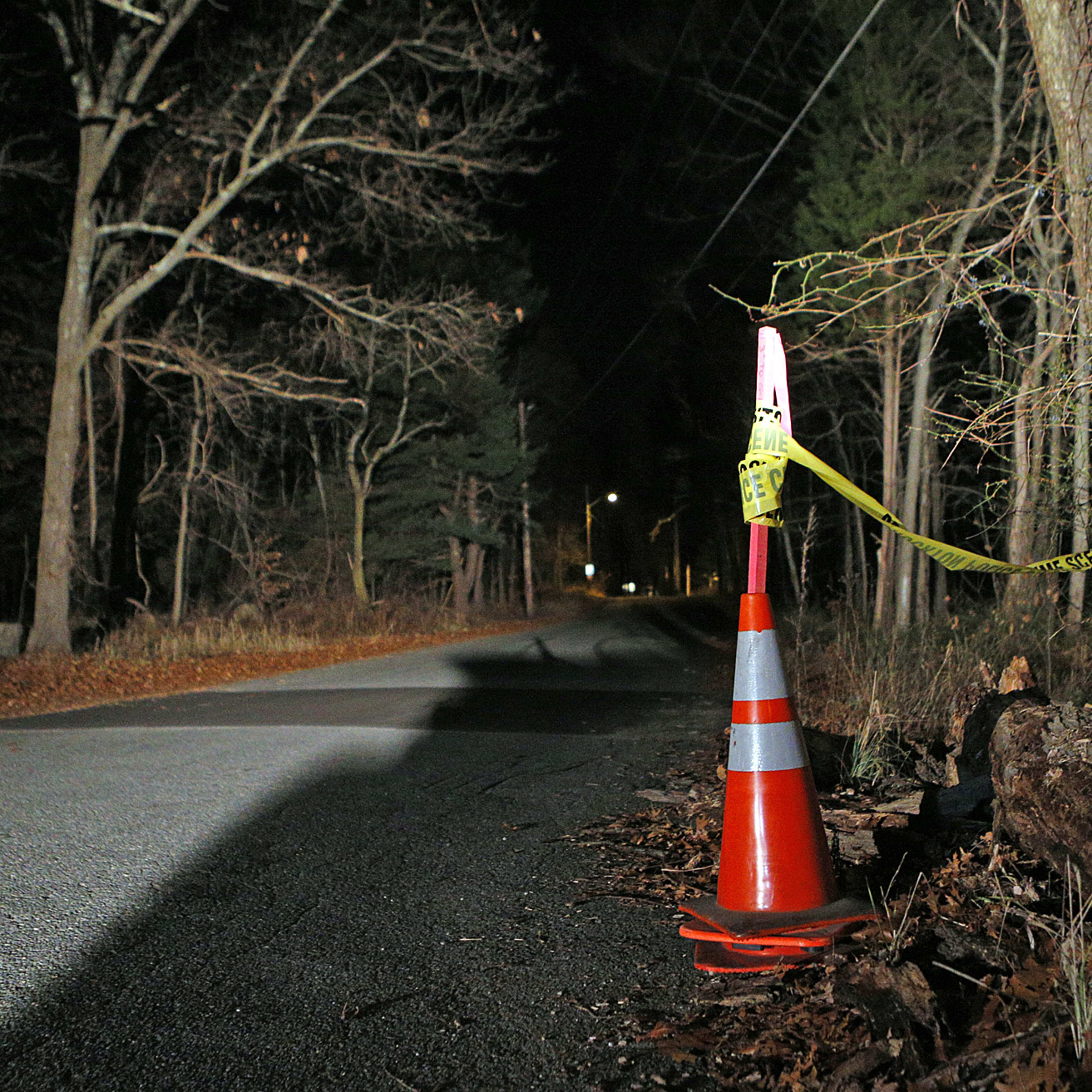 WWE Legend Triple H Makes It Clear Where He Stands Politically - The Spun