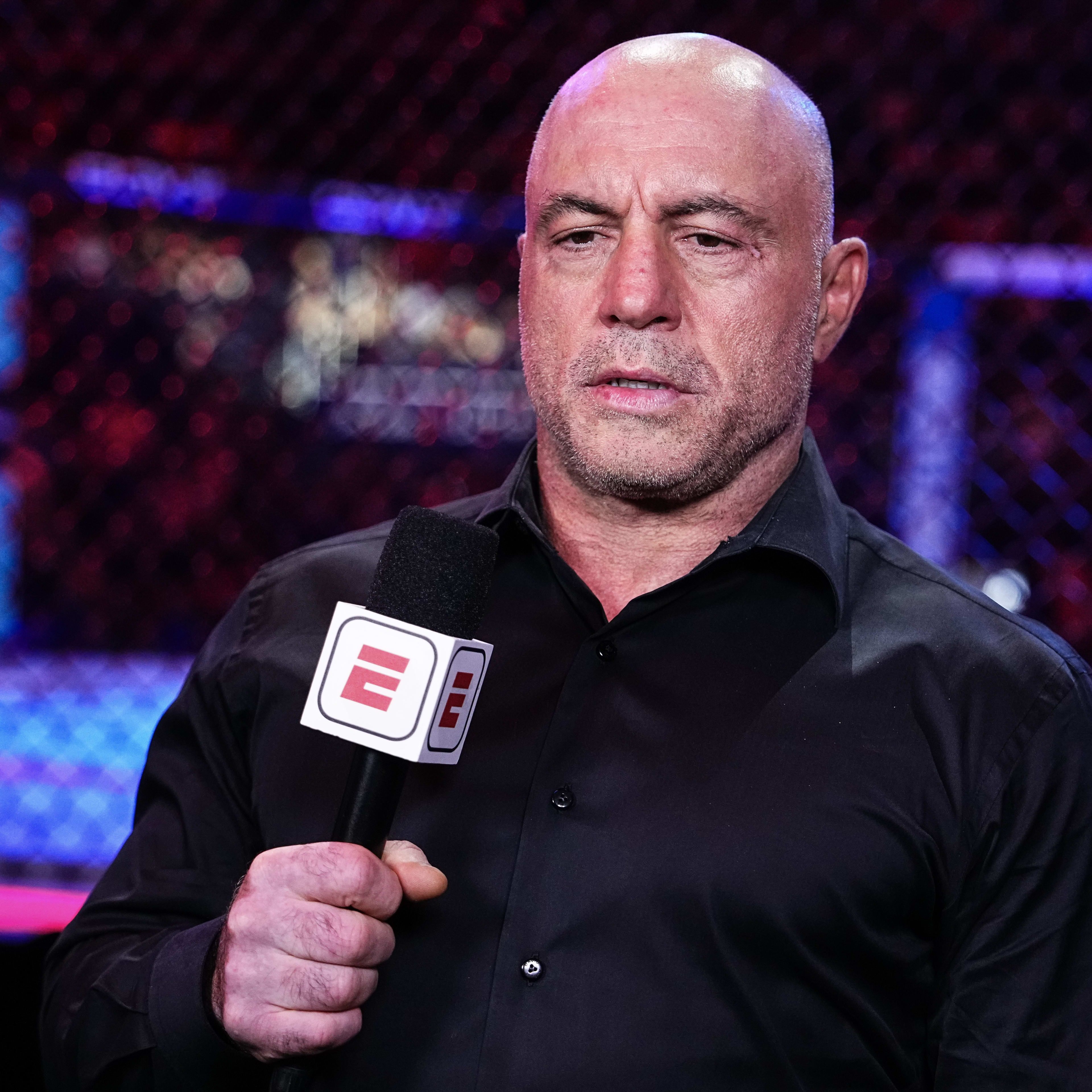 UFC Fans Furious With Dana White's Controversial Gesture - The Spun