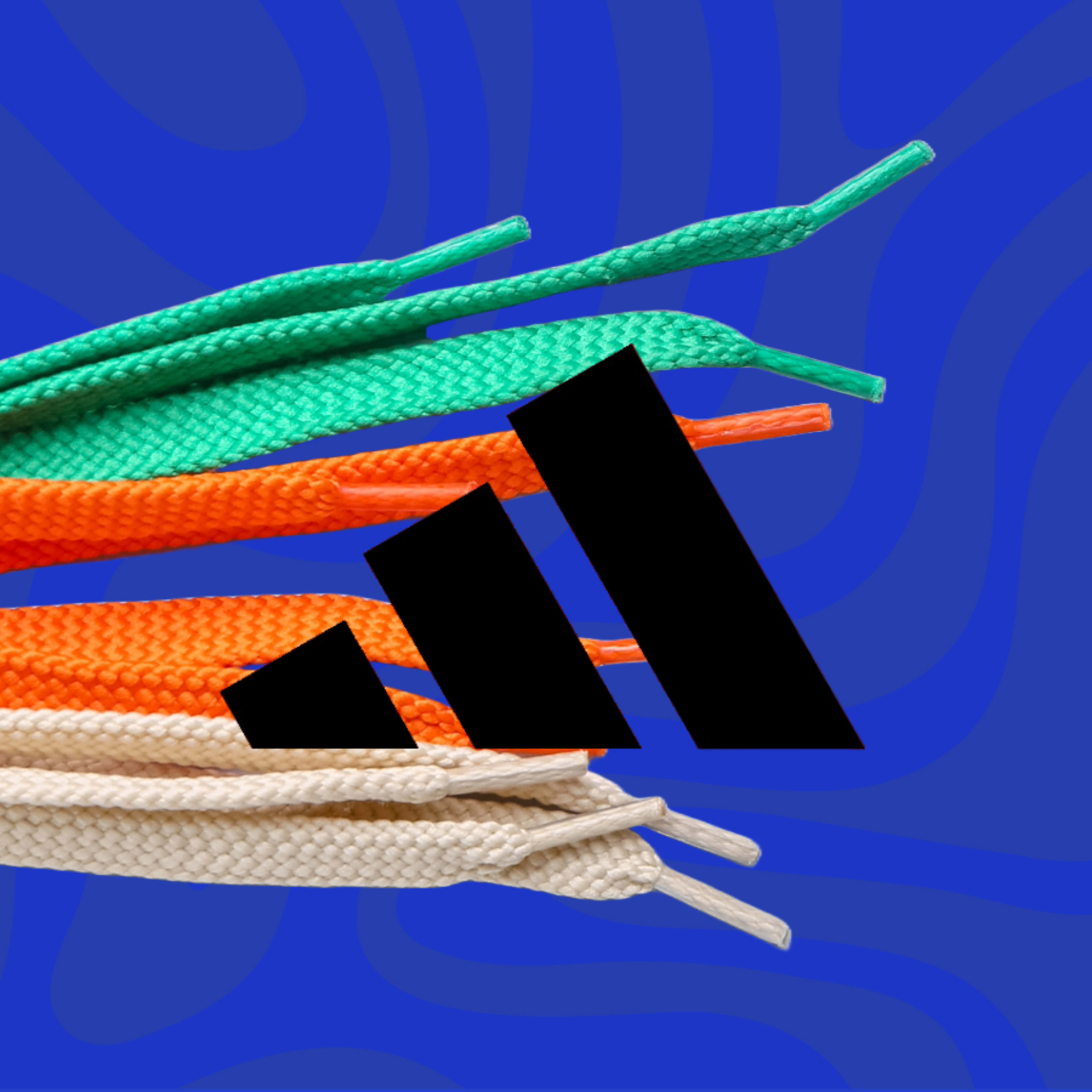 Molly Qerim Excited For New Addition To ESPN's 'First Take' - The Spun