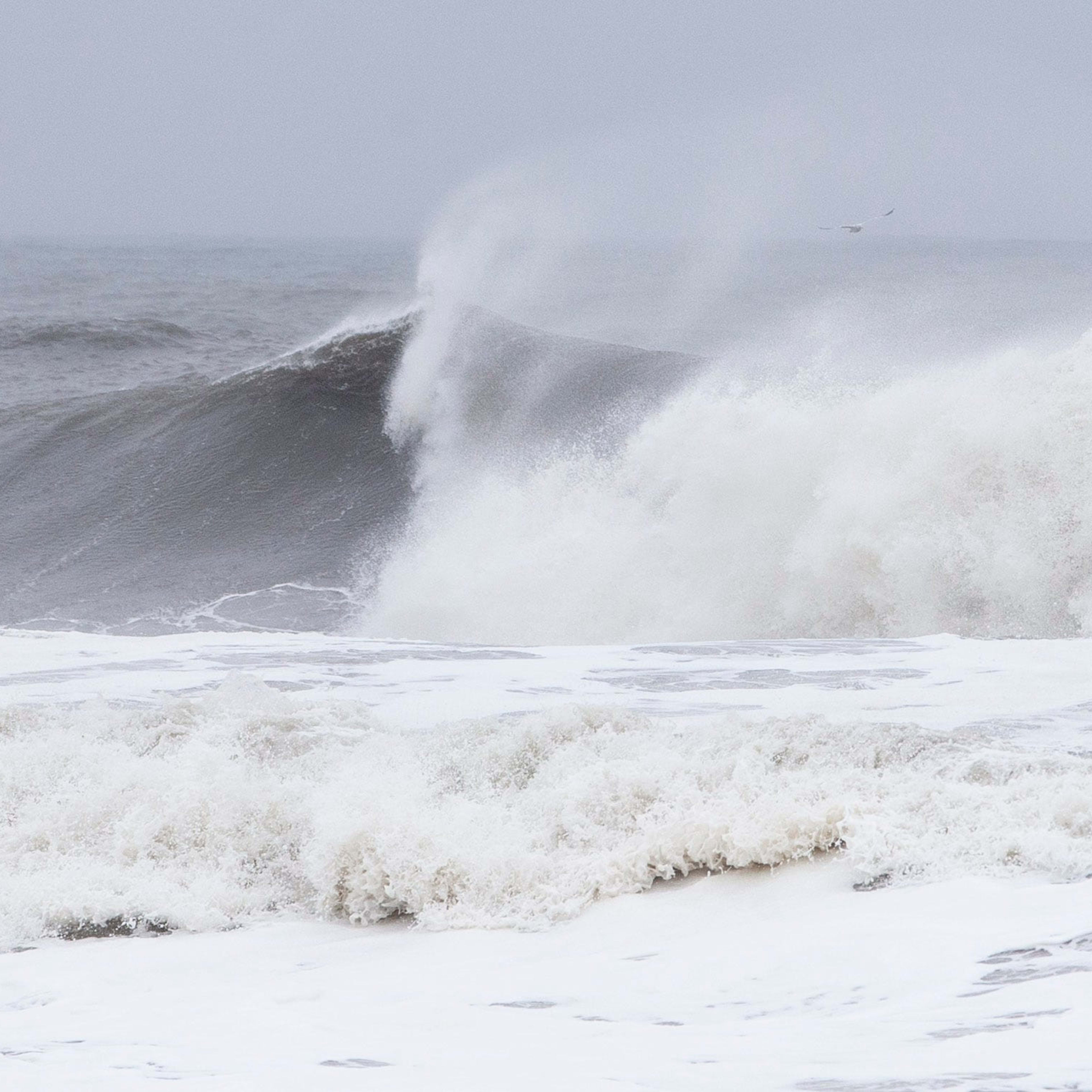 'Wow' - New Photo Of Trump's Special Assistant Goes Viral - The Spun