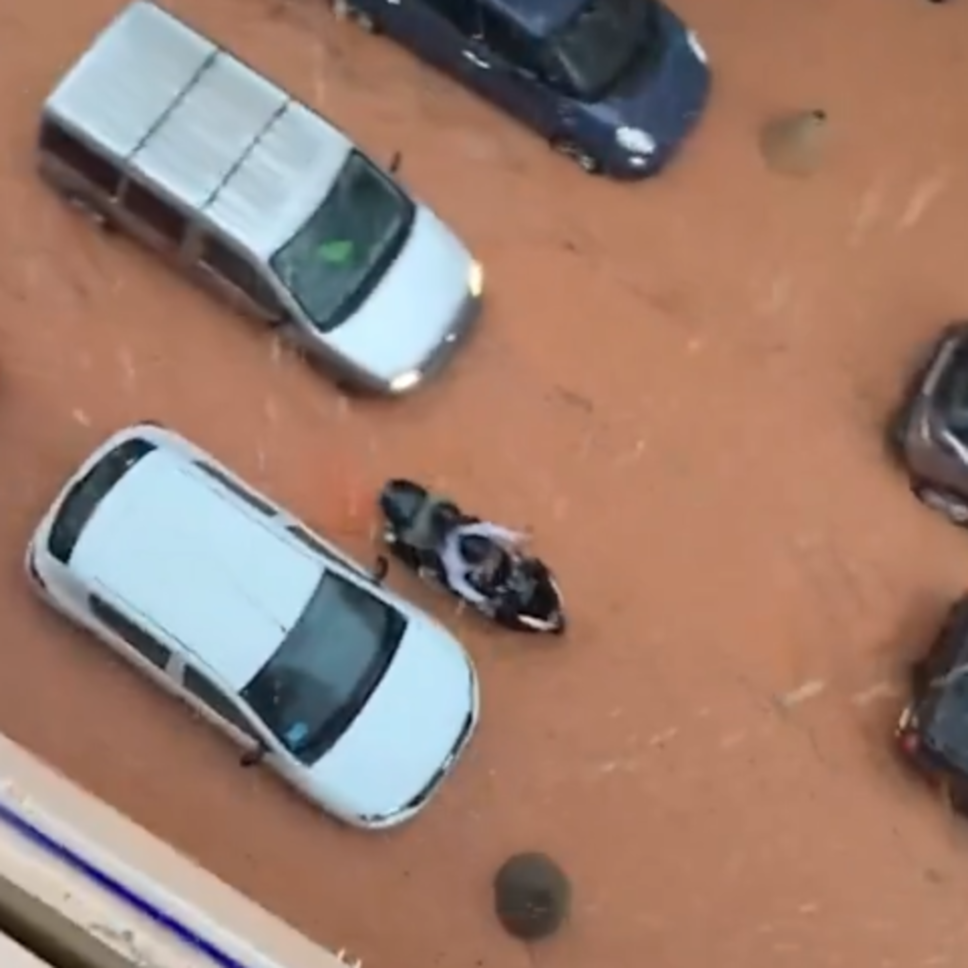 Fans Were Shocked To Learn KR Devin Hester Jr. Has No Relation To Devin ...