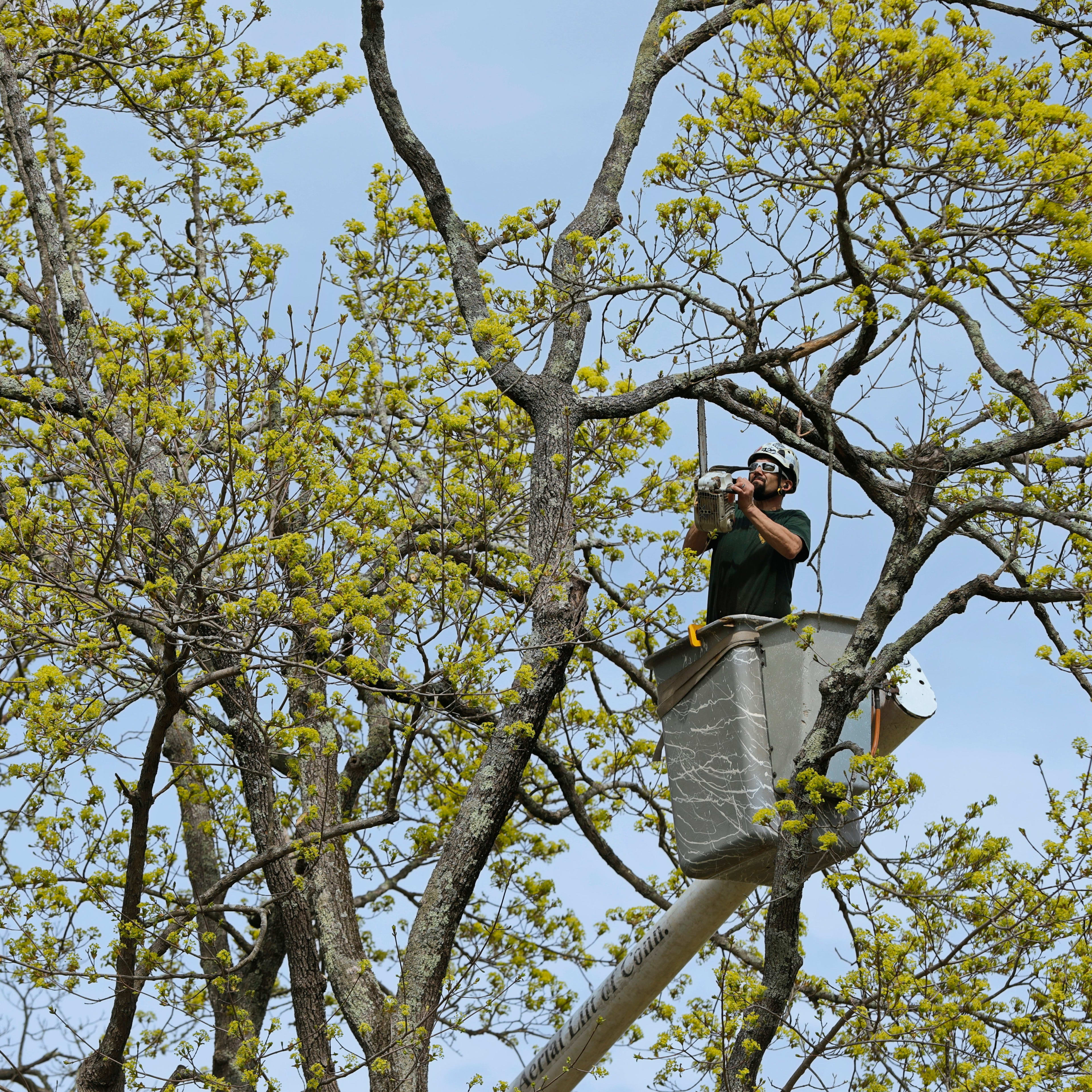 Punishment Decided For MLB Announcer Who Accidentally Said Homophobic ...