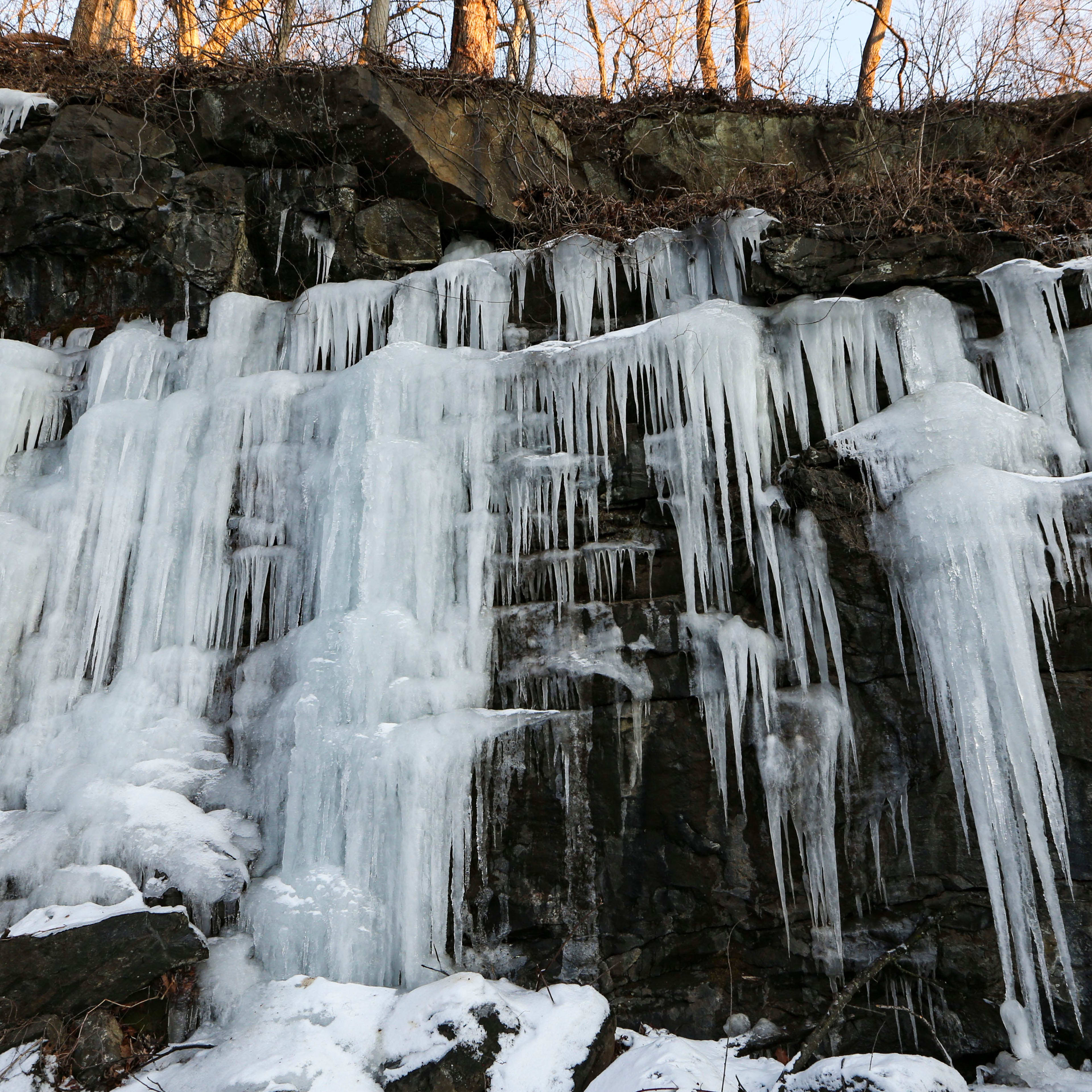 Paul Finebaum Announces Which Political Party He Sides With - The Spun