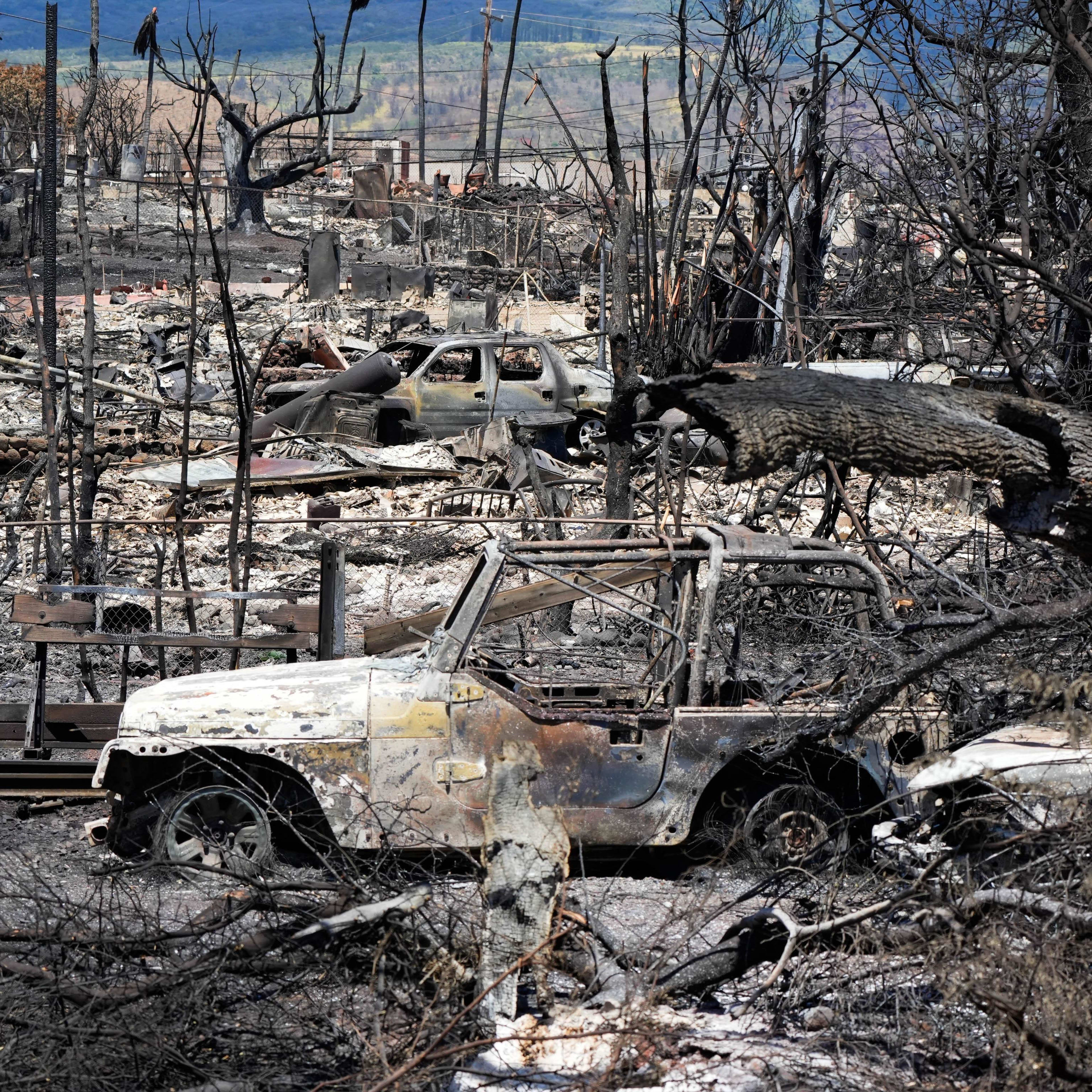 Former MLB Star Johnny Damon Is Barely Recognizable Today - The Spun