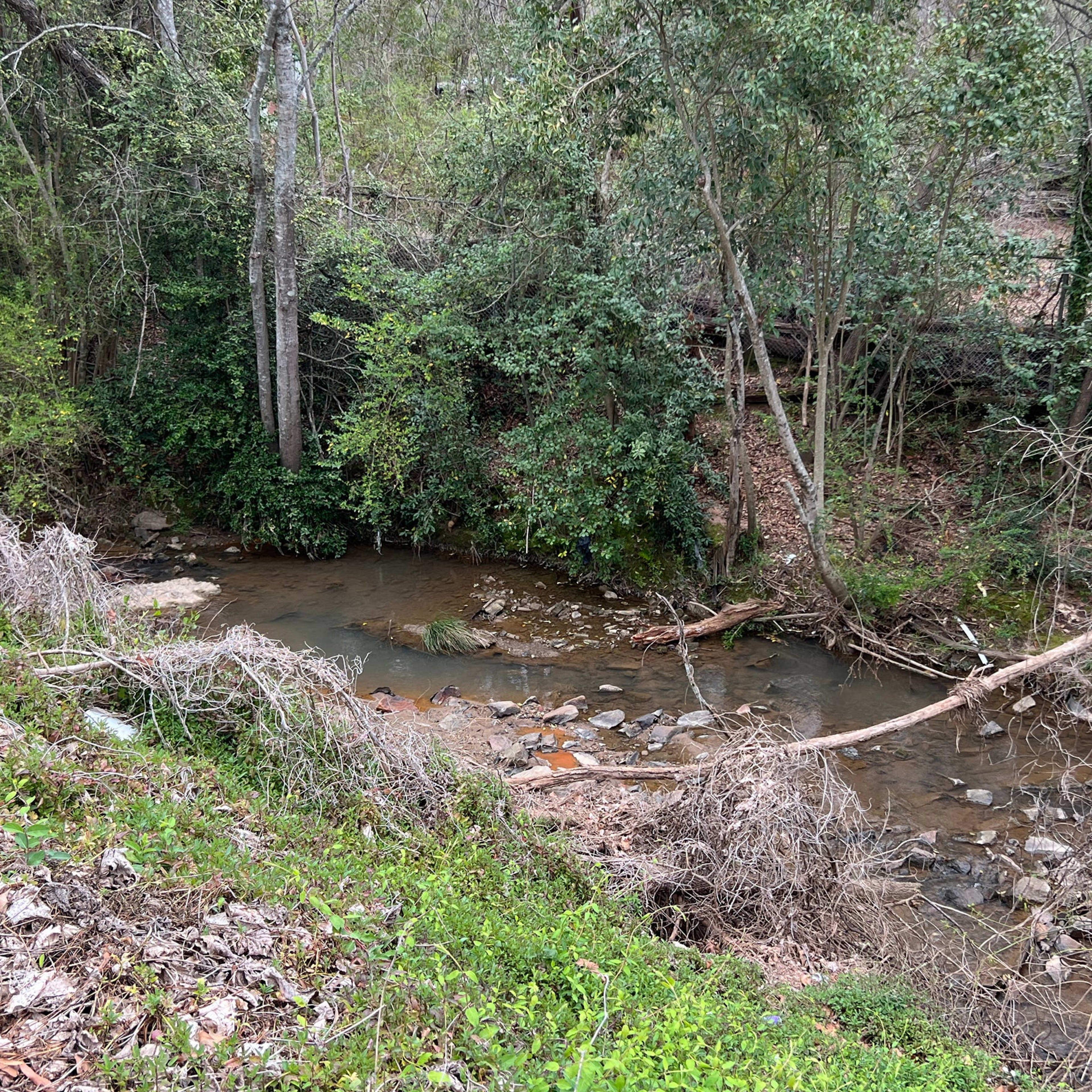 Wow' - ESPN's Laura Rutledge Stuns In New Photoshoot - The Spun