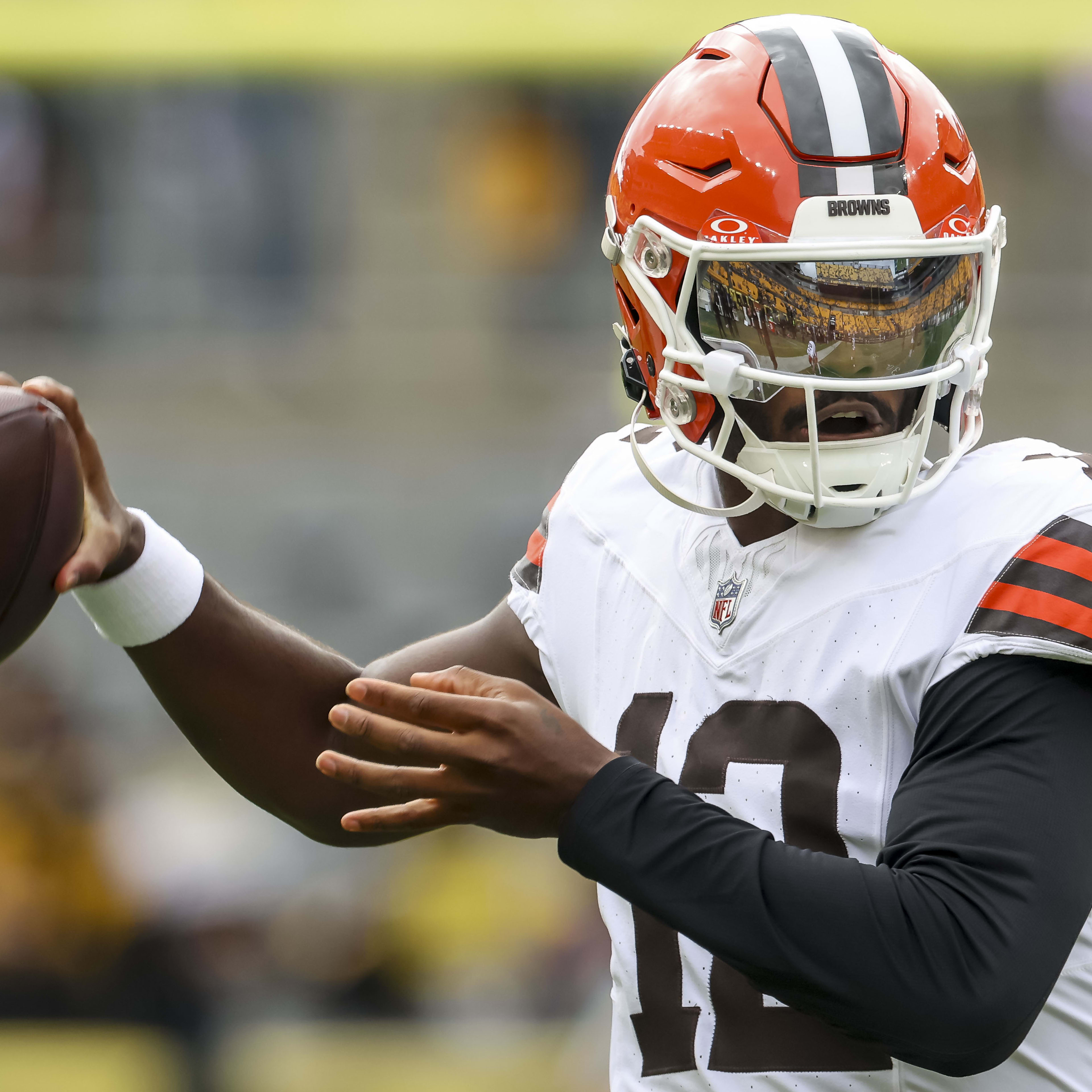 Former NFL Star Demands League Fire Shawn Hochuli - The Spun