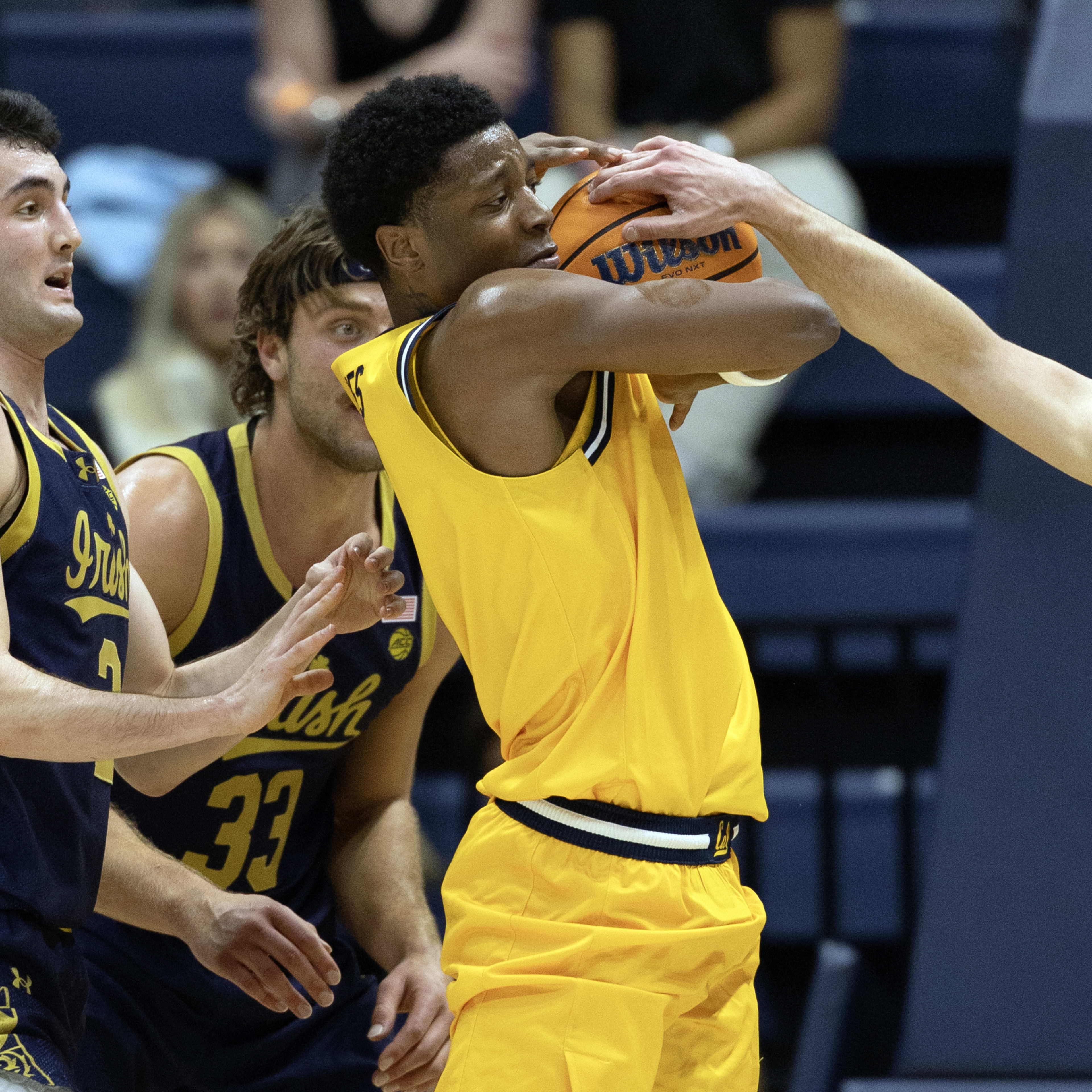 Basketball Fans Calling For NCAA To Ban Refs From Notre Dame vs. Cal ...