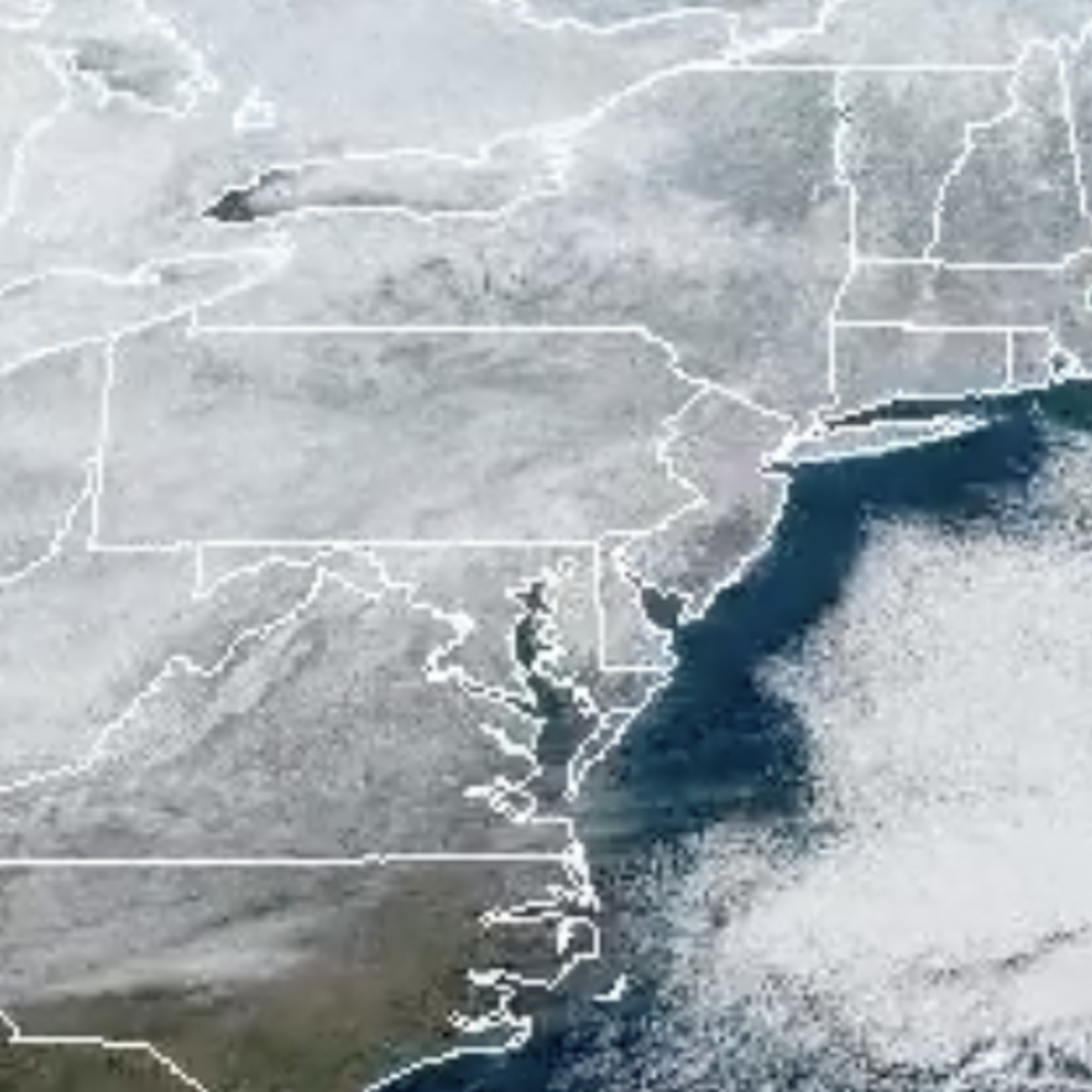 Carmen Electra's Swimsuit Photo Sends Fans Into A Frenzy - The Spun