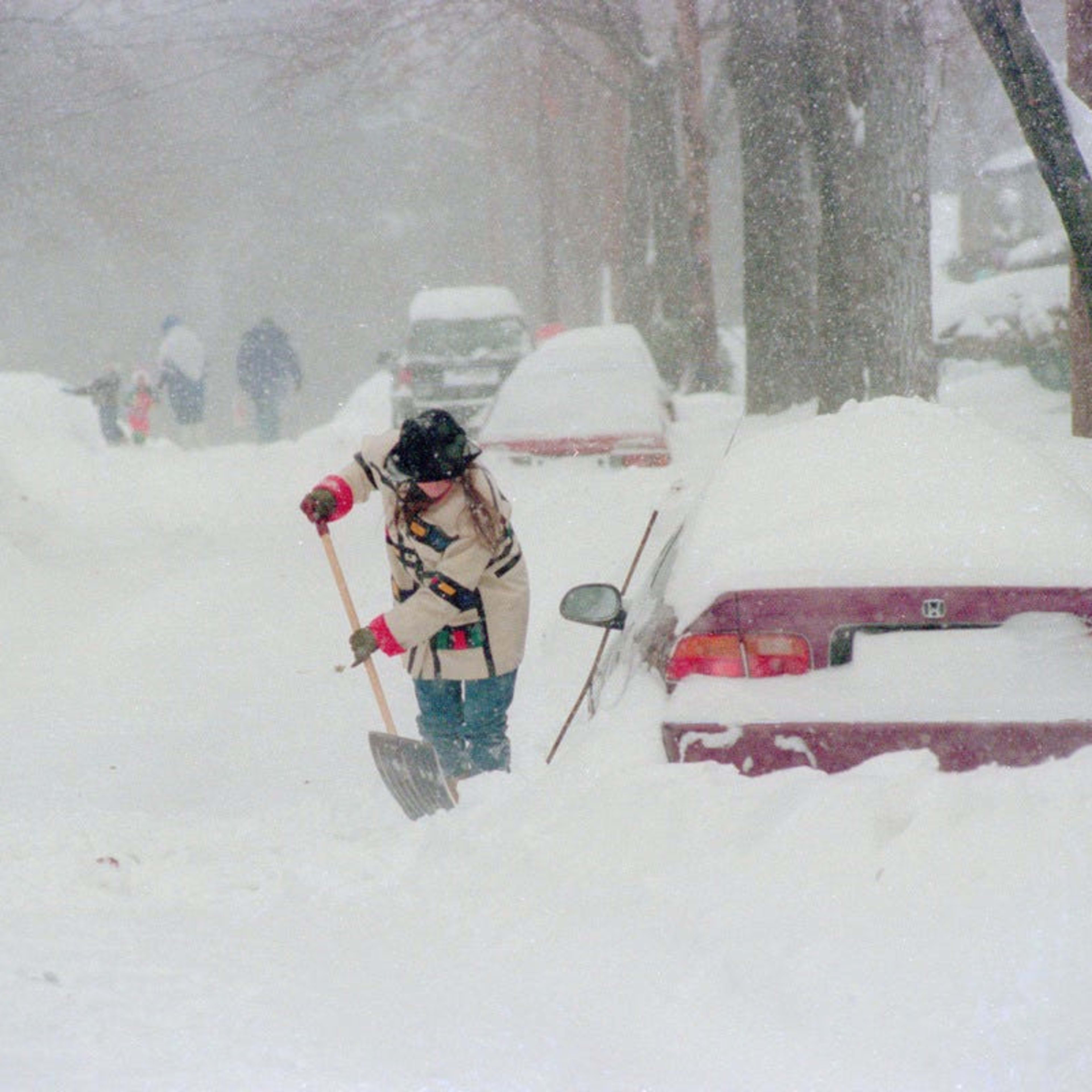 Tennis Host Causes Stir At Australian Open With 'Stunning' Outfit - The ...