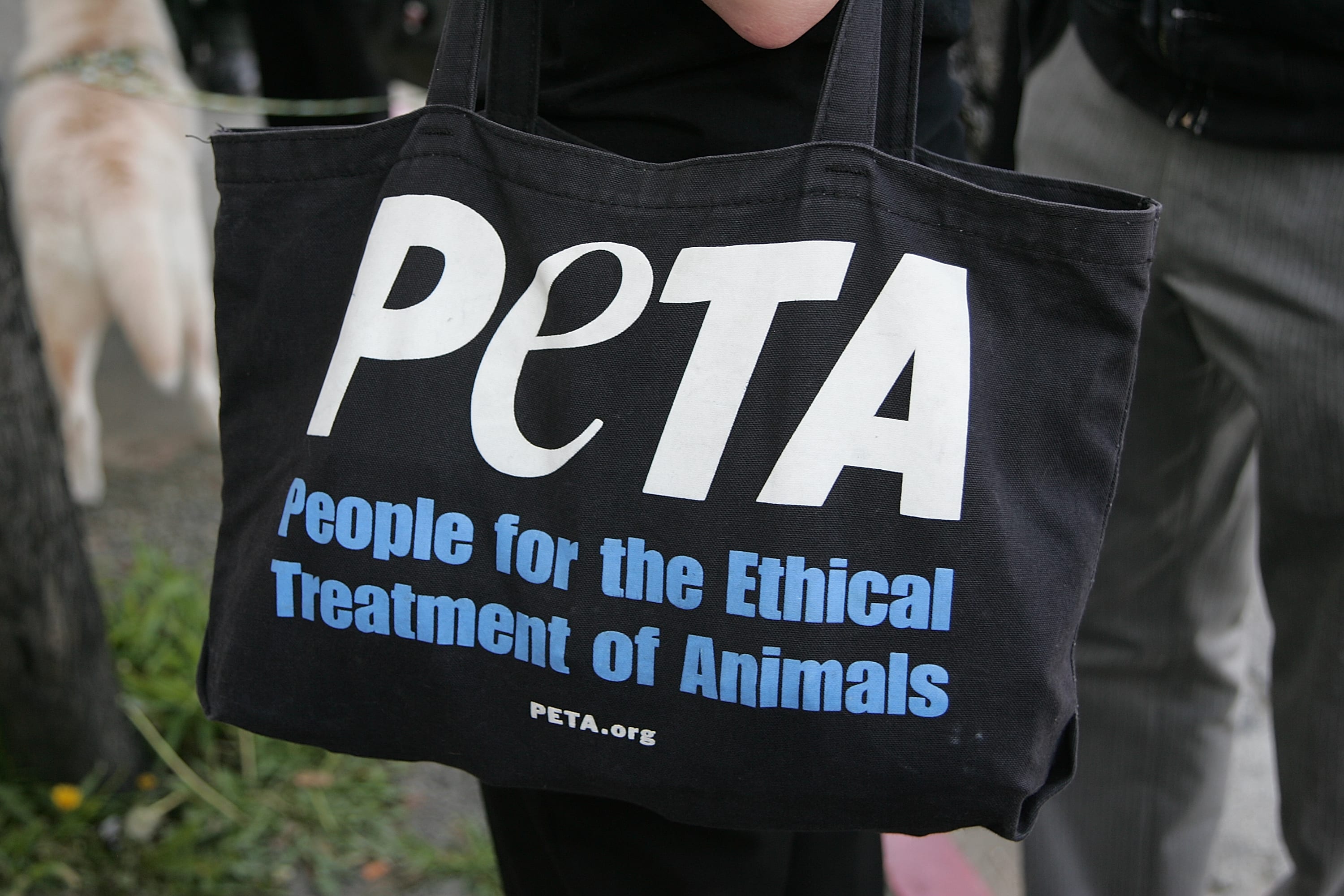'Controversial' PETA Super Bowl Commercial Was Banned From TV - The Spun