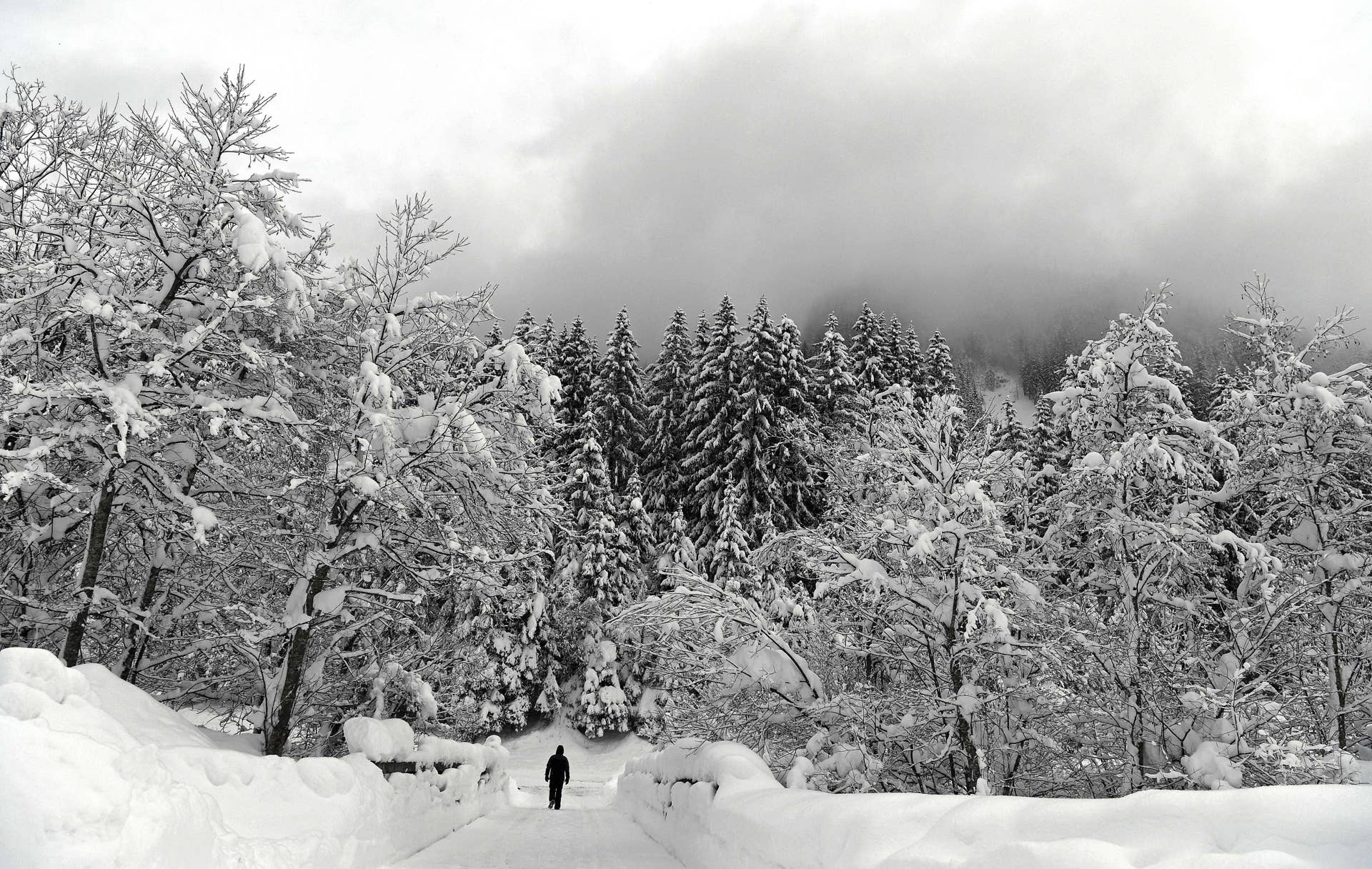 Two Major Avalanches Strike In The United States - The Spun