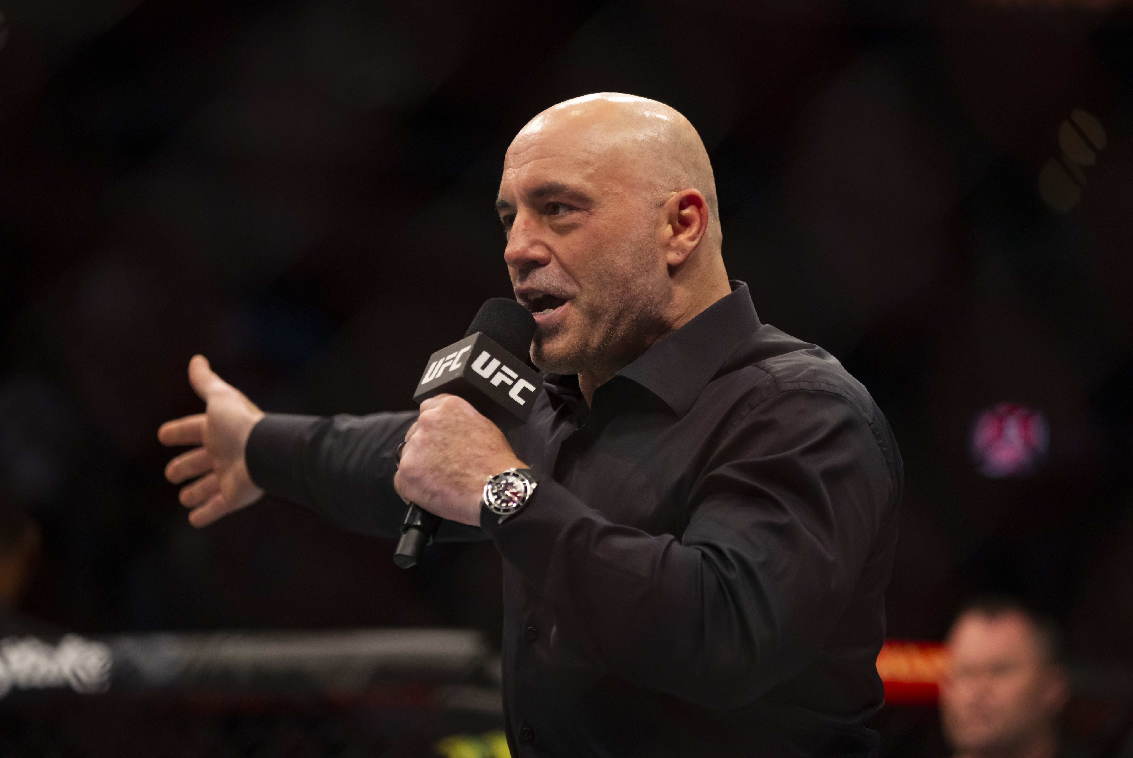 Joe Rogan's Daughter's Birthday Cake Is Going Viral Tuesday - The Spun