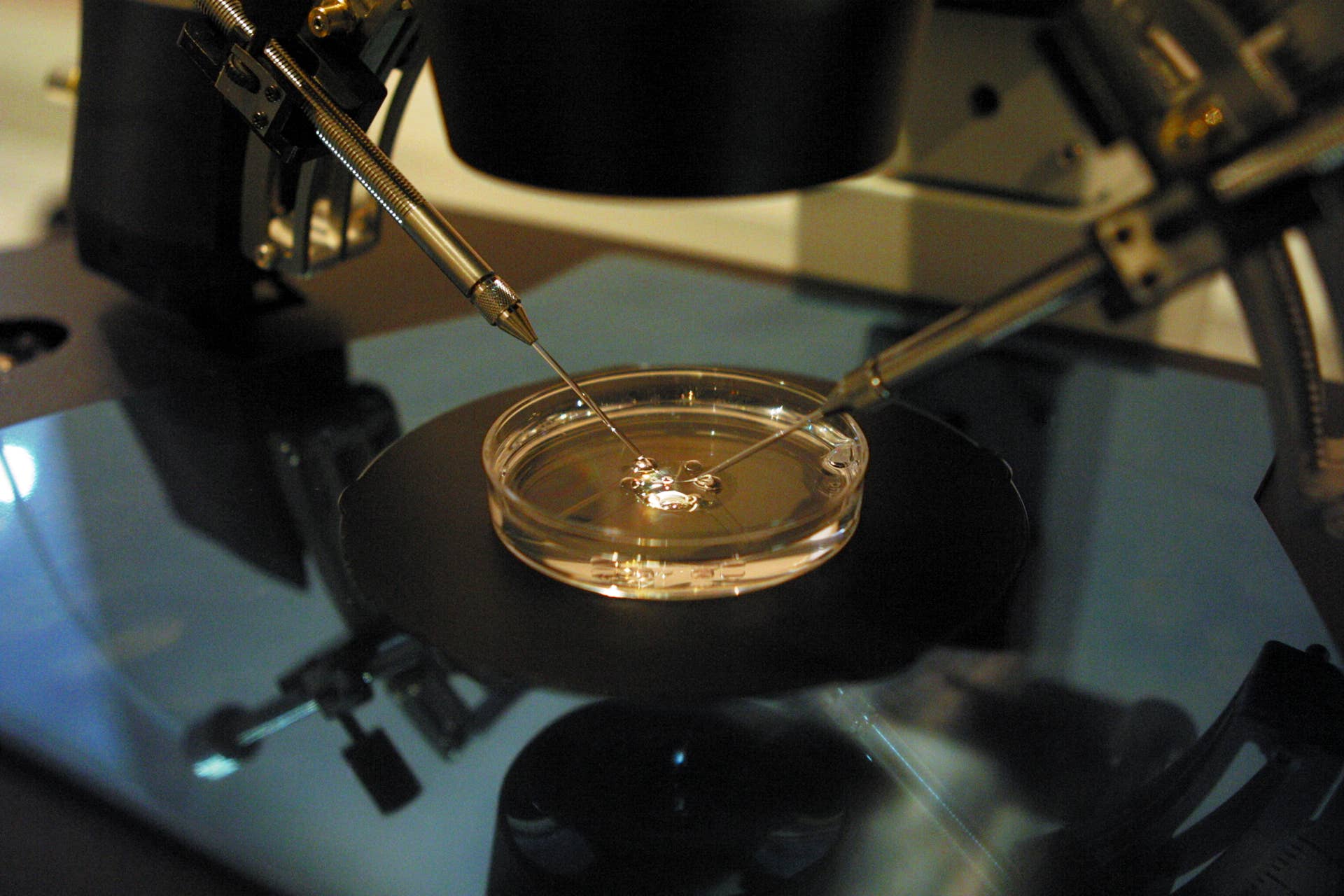 Former NFL Player Announces Infertility Diagnosis - The Spun