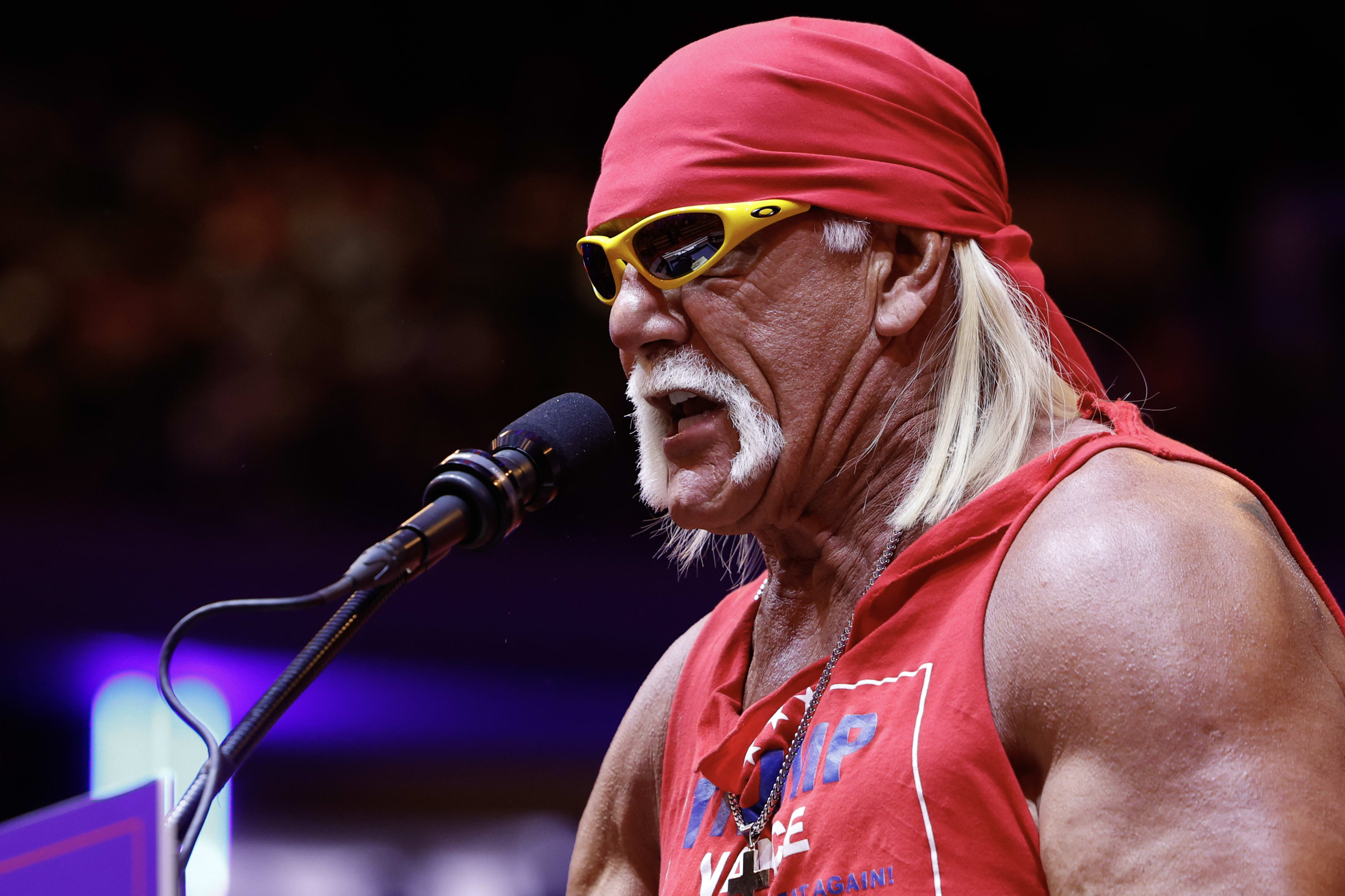 Hulk Hogan's Net Worth At Time Of Death Has Been Revealed - The Spun
