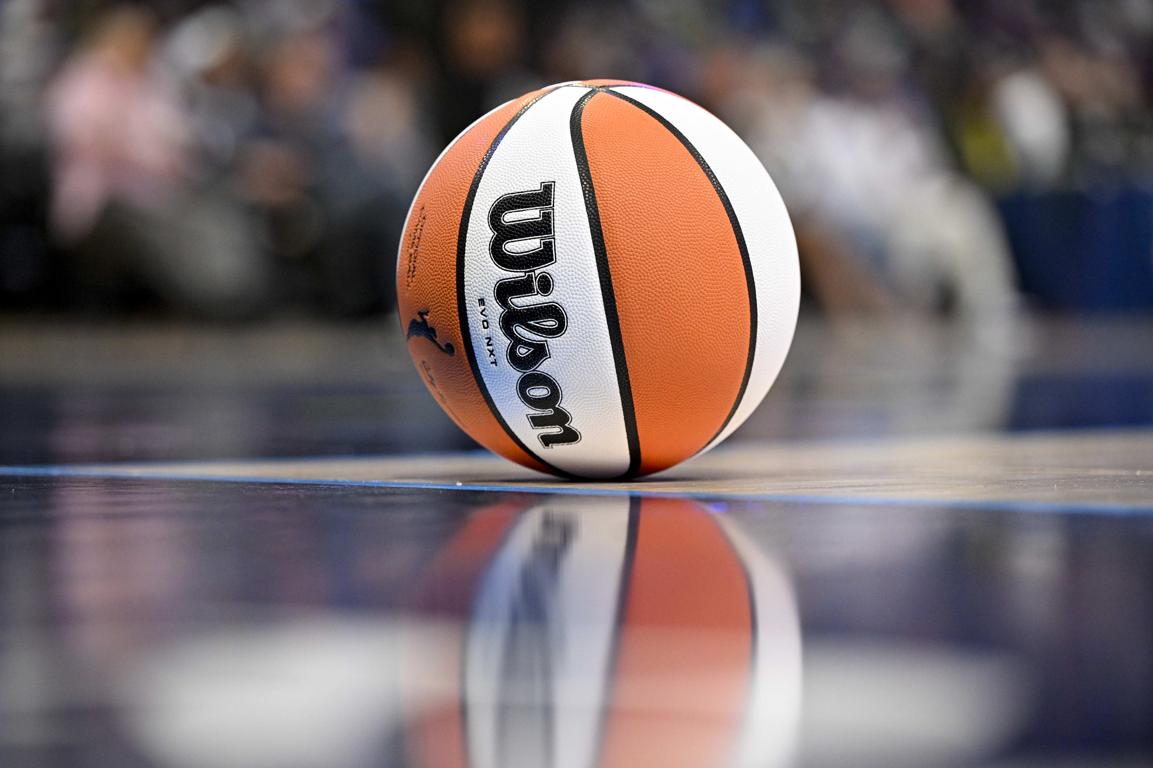 Arrest Made After Fan Throws Sex Toy Onto WNBA Court - The Spun