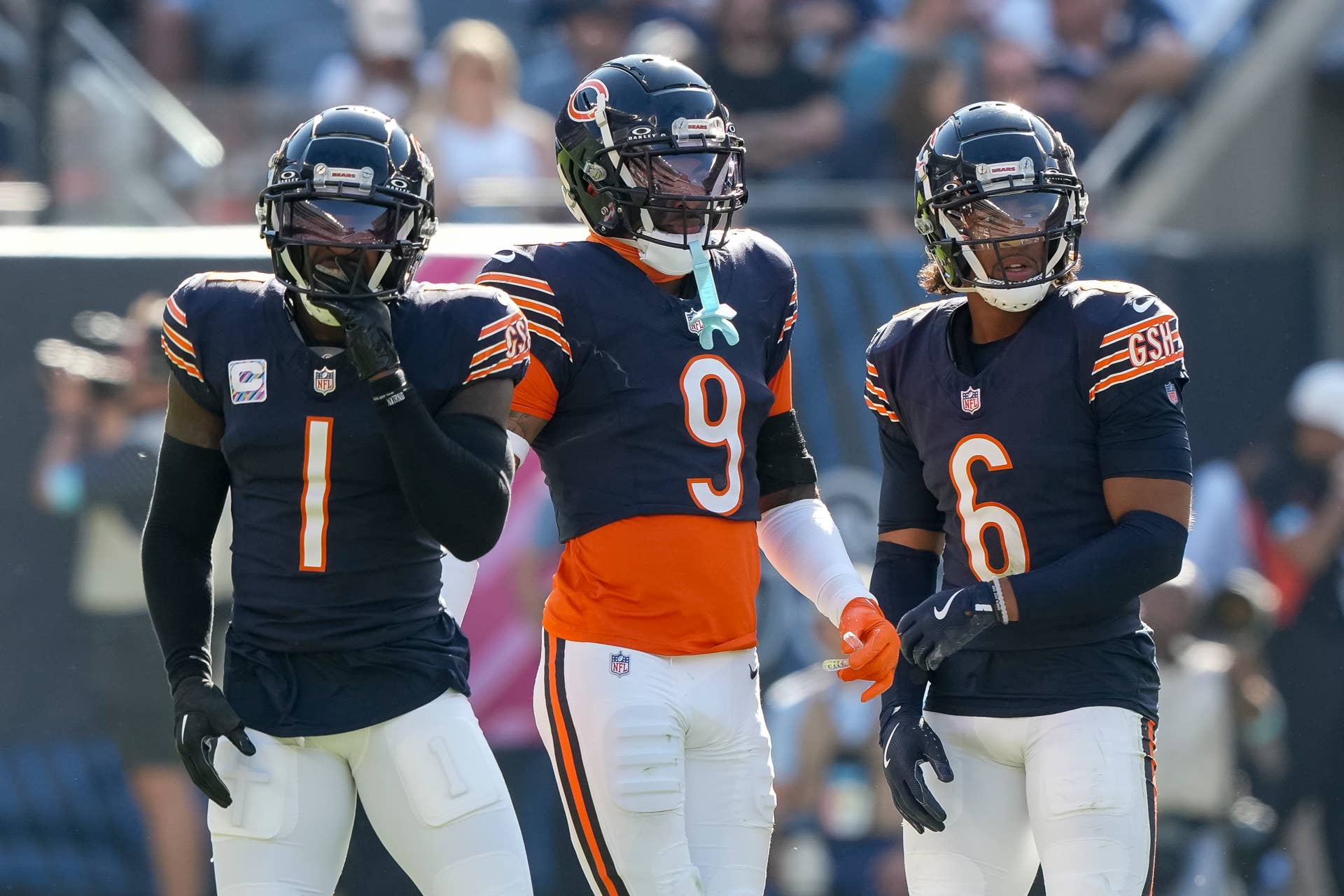 Chicago Bears - The Spun